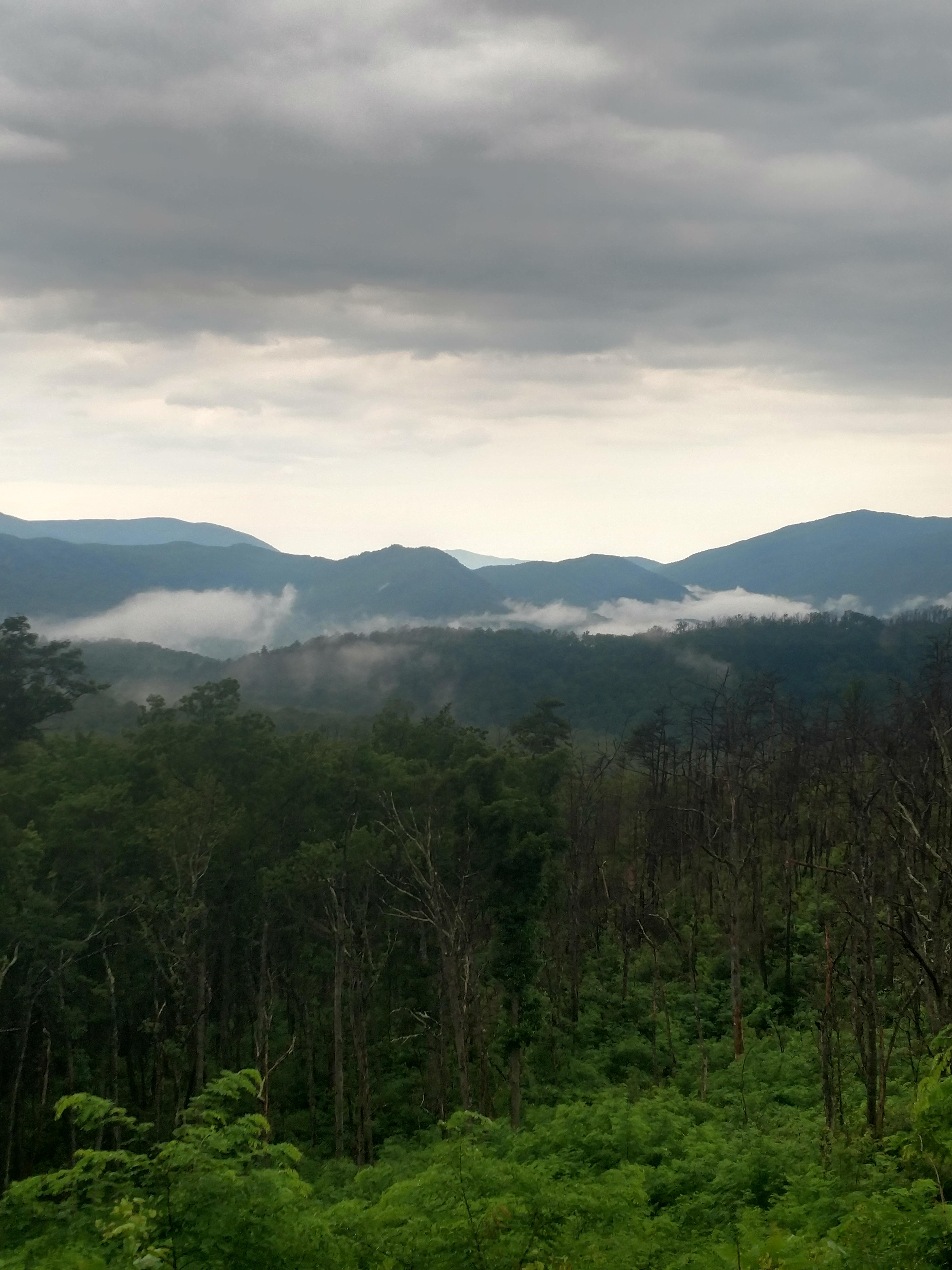 Smoky mountains, pic taken on the Roaring Fork motor nature trail | Scrolller