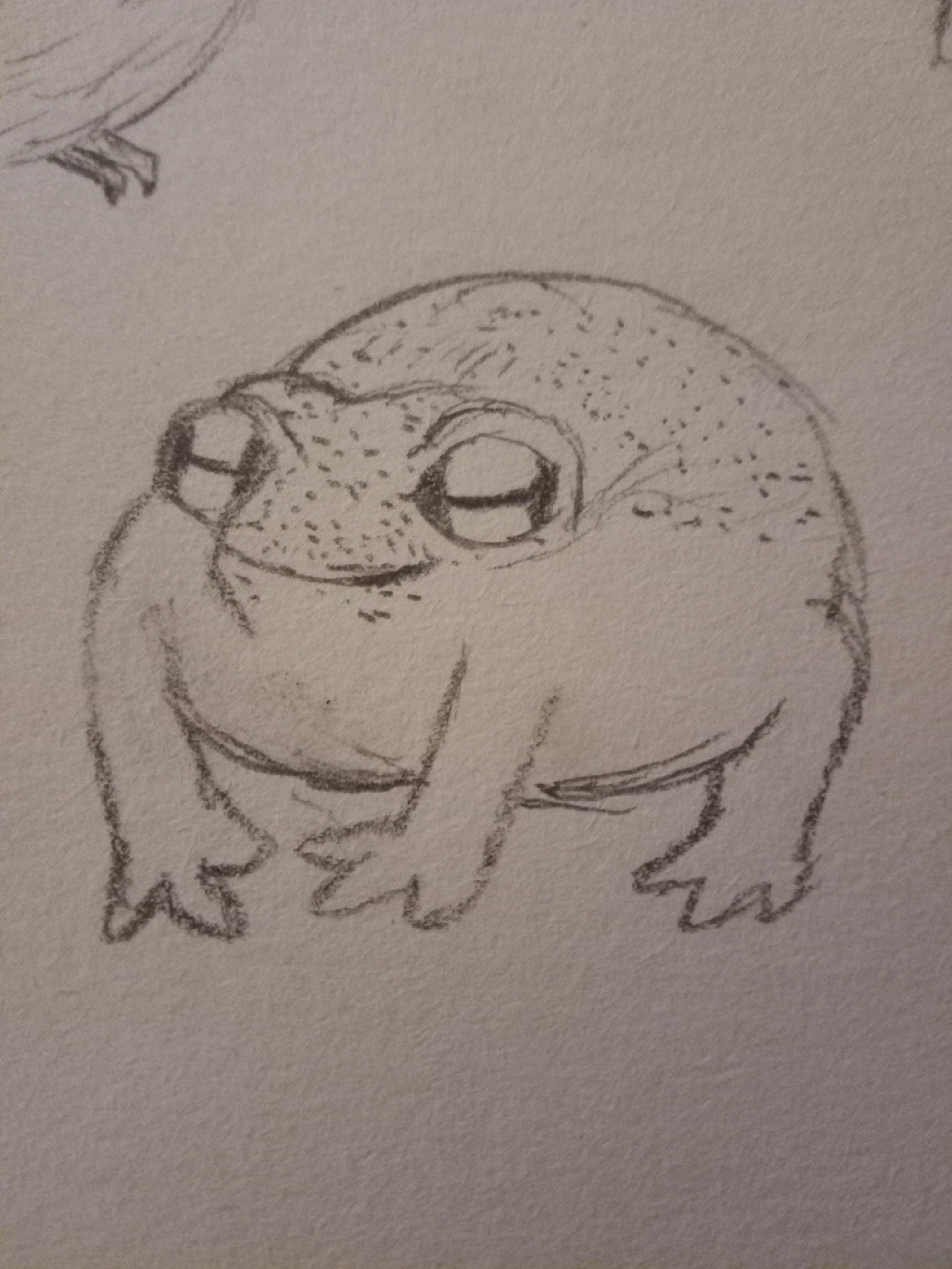 Smol sand frog I drew | Scrolller