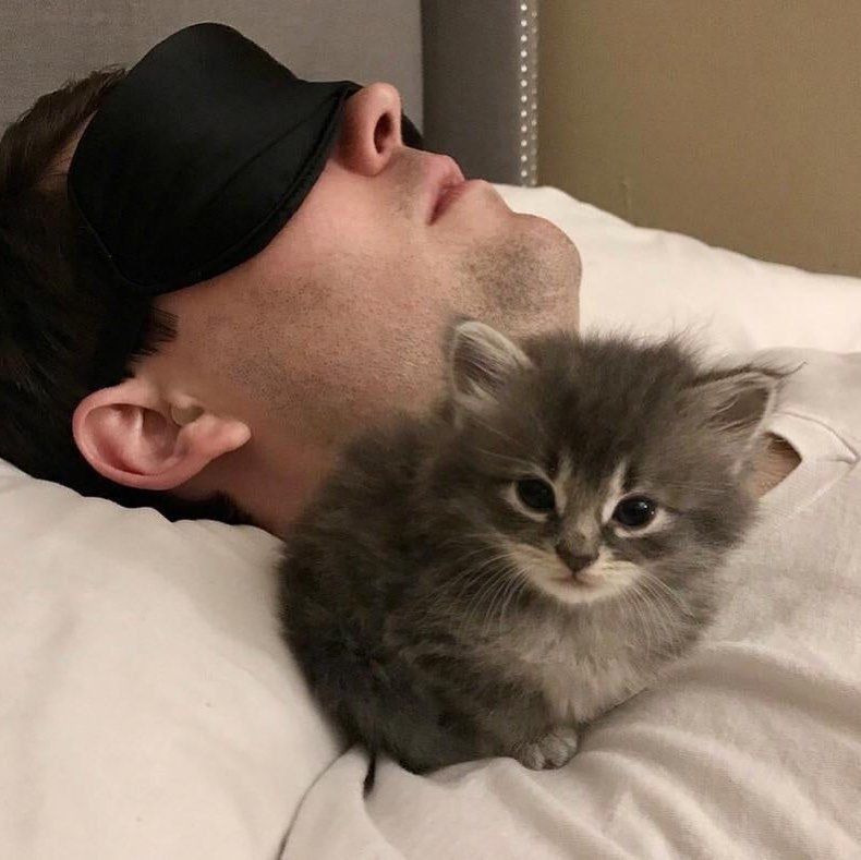 Smol Sleep buddy | Scrolller