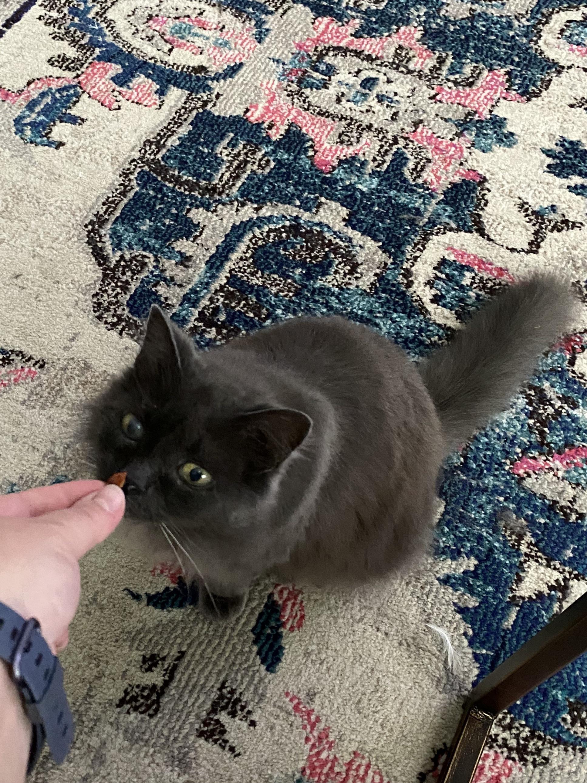 Snack Inspector General | Scrolller