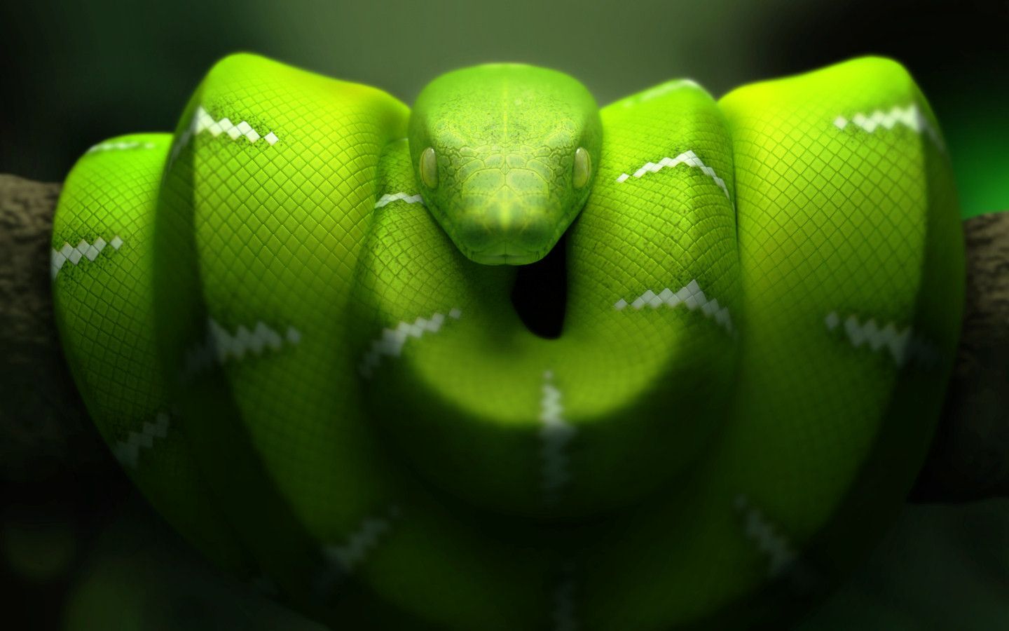 snake 3D Models | Scrolller