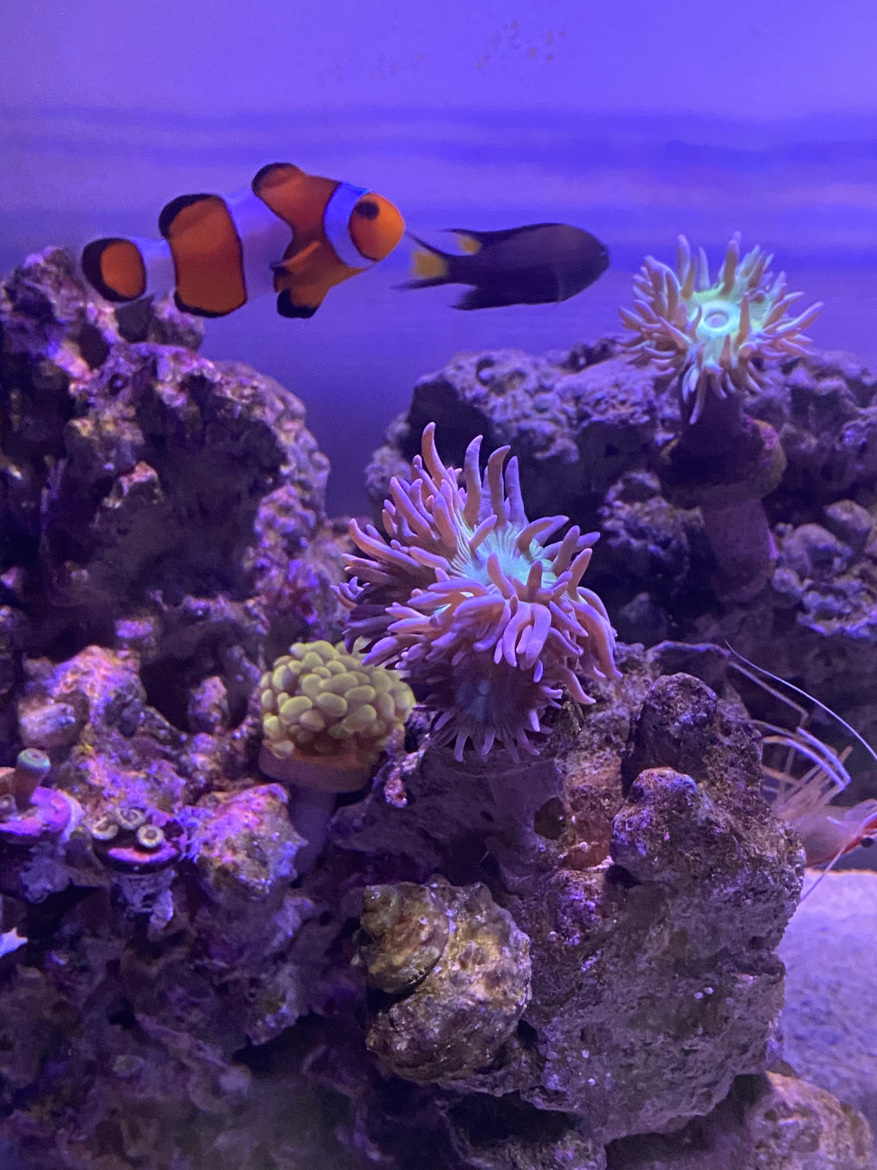 Snapshot of my little slice of the ocean | Scrolller