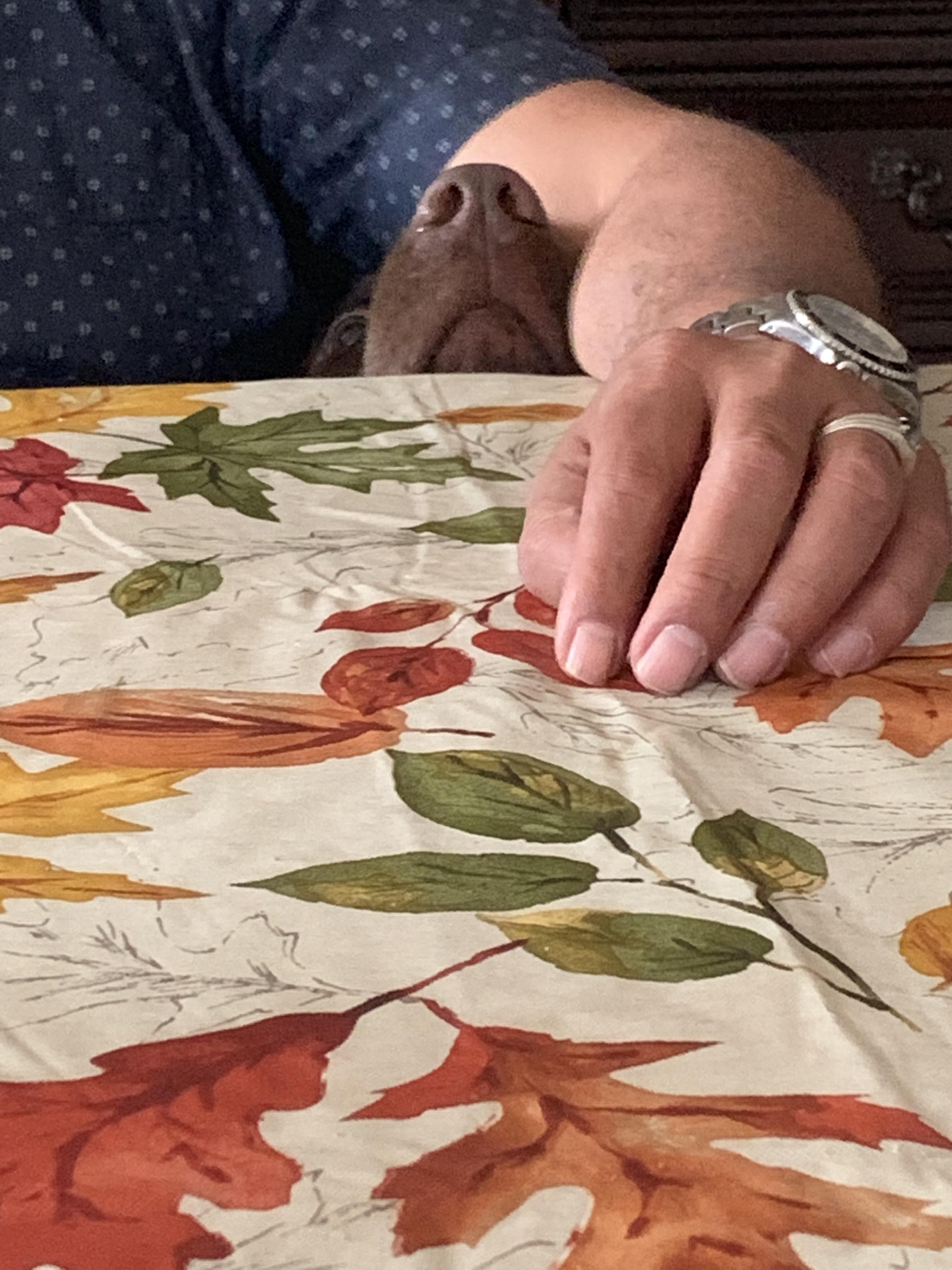 Sneaky boi | Scrolller