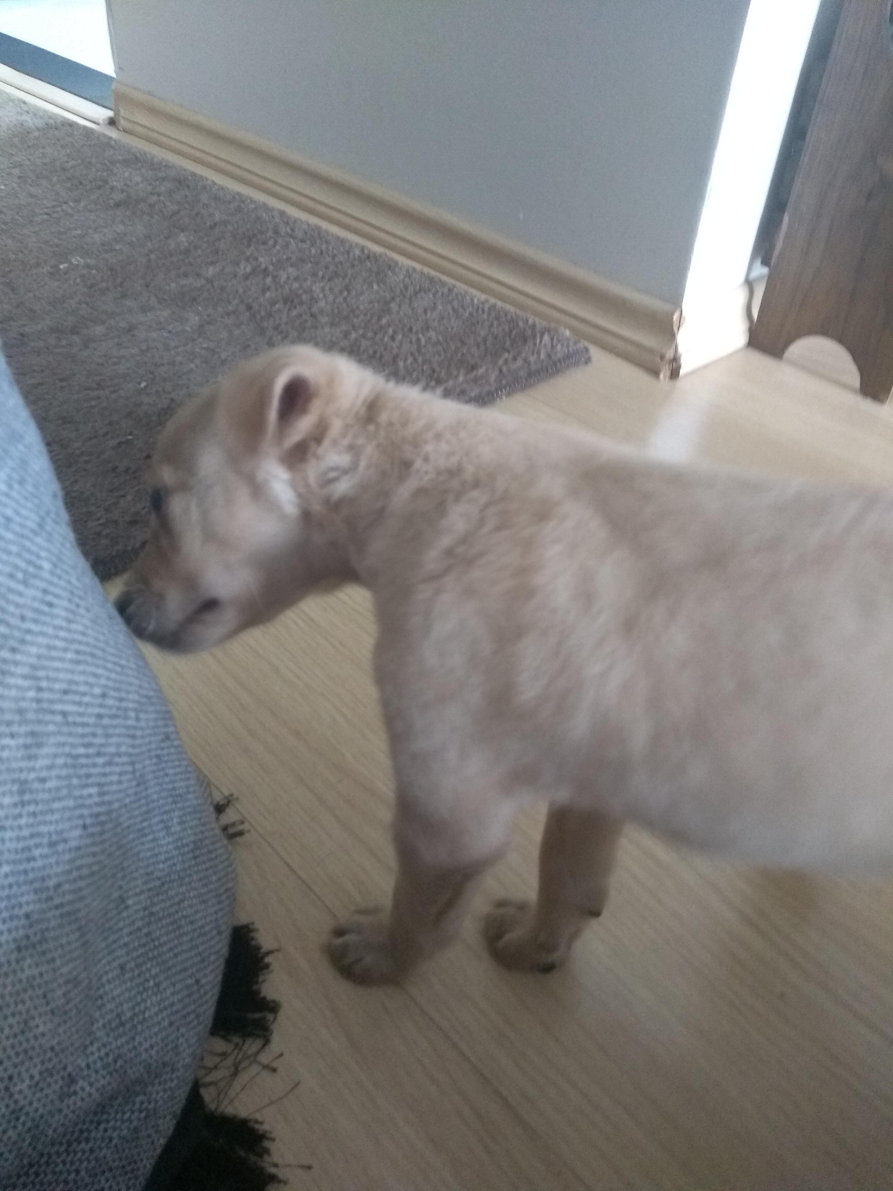 Sniff 🐾 | Scrolller