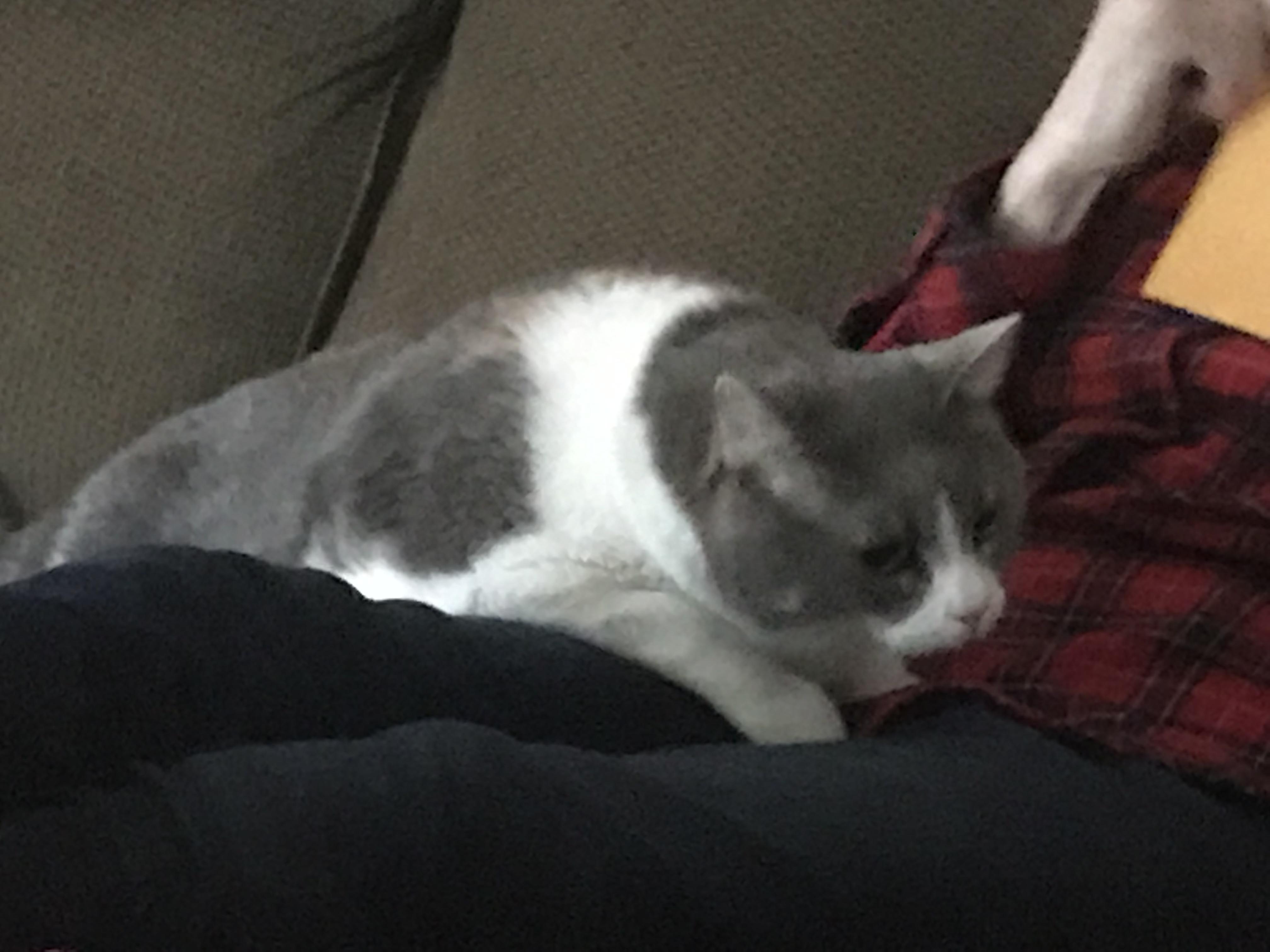 Sniff sniff | Scrolller