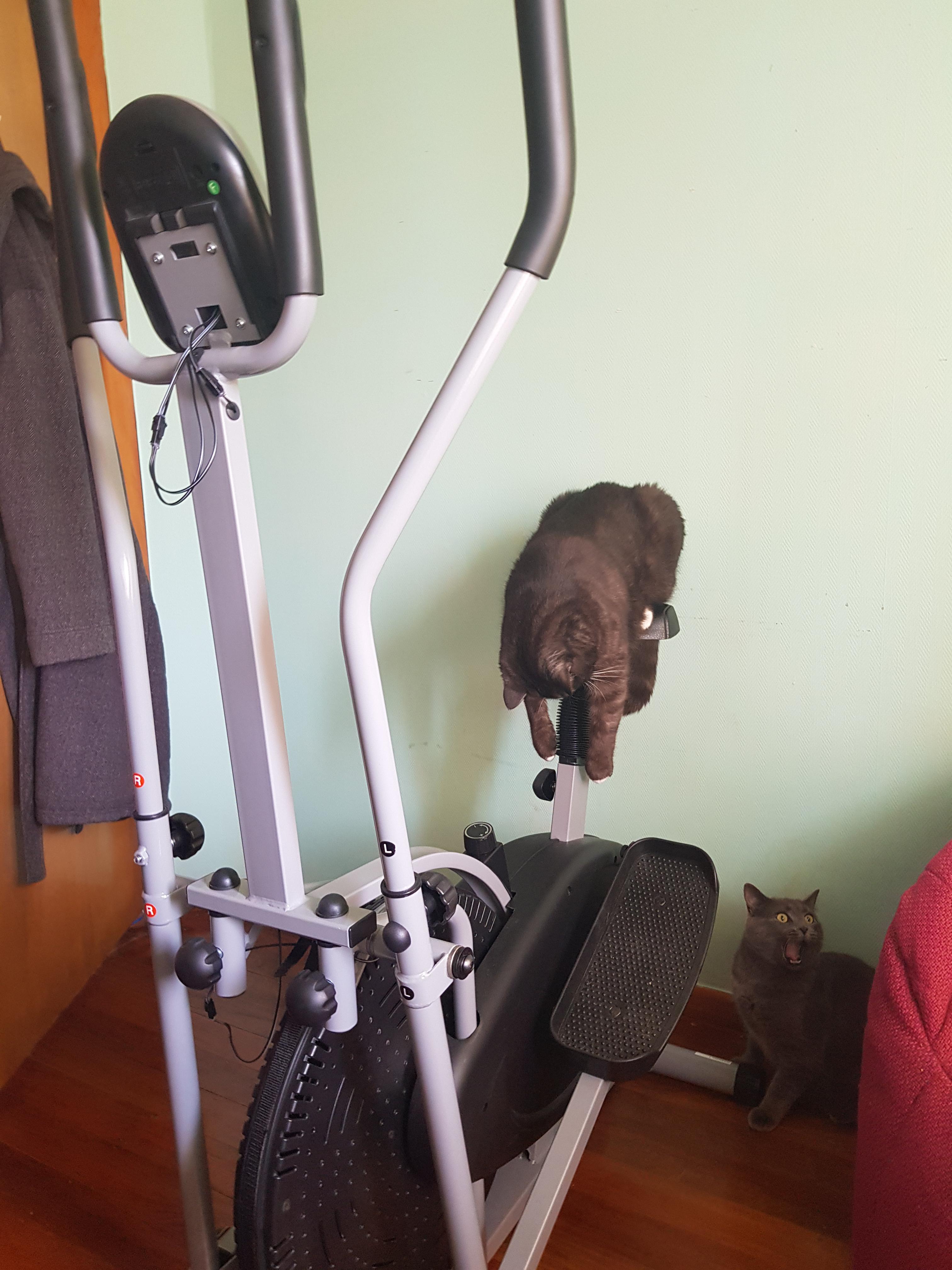 Snooze alert! | Scrolller