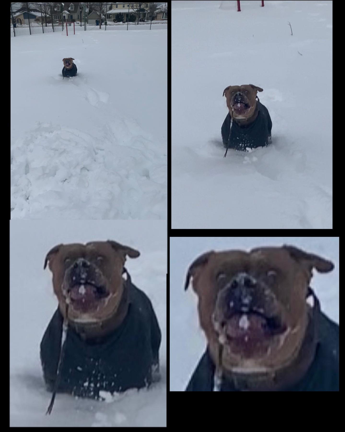 Snow = Derp mode activated | Scrolller