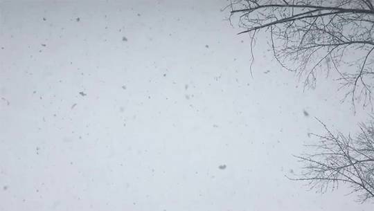 Snowfall [OC] | Scrolller