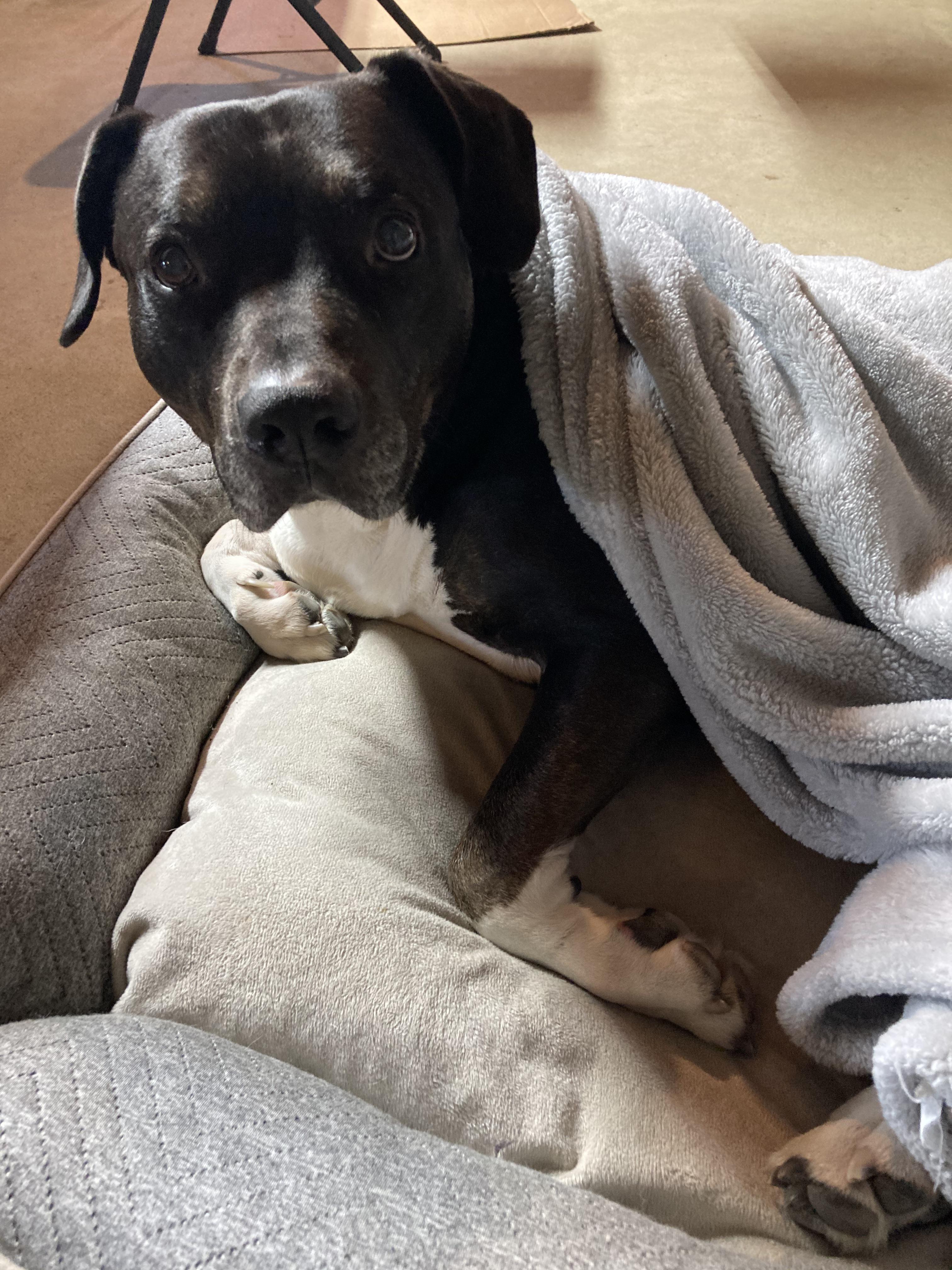 Snuggle time | Scrolller