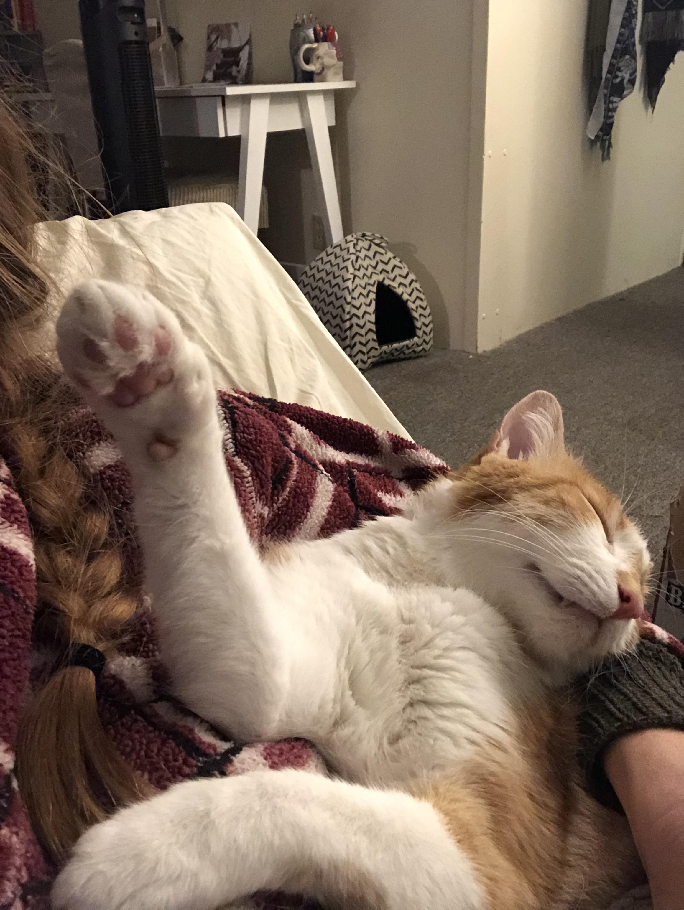 Snuggle time with my favorite redhead | Scrolller