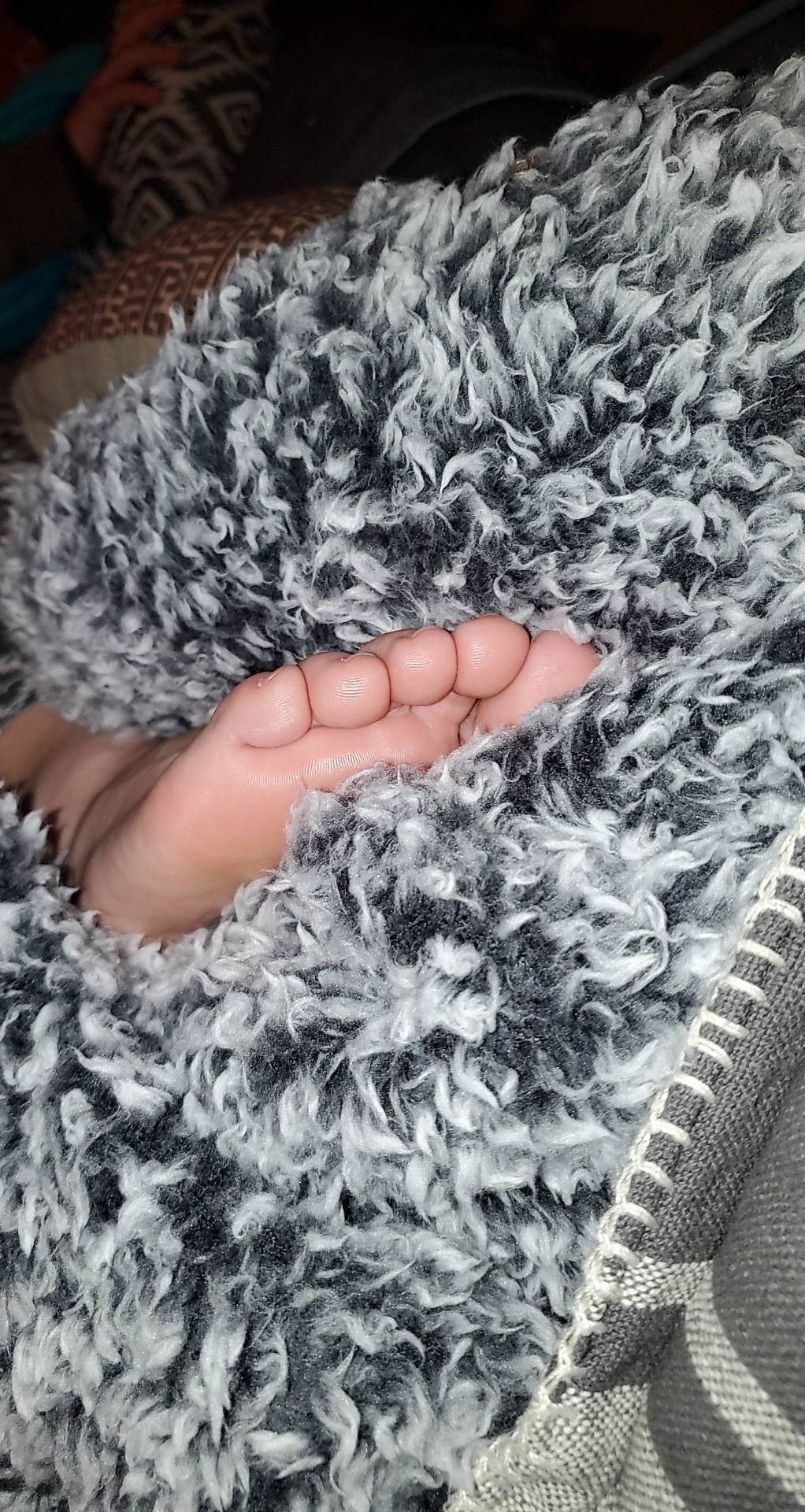 Snuggled in | Scrolller