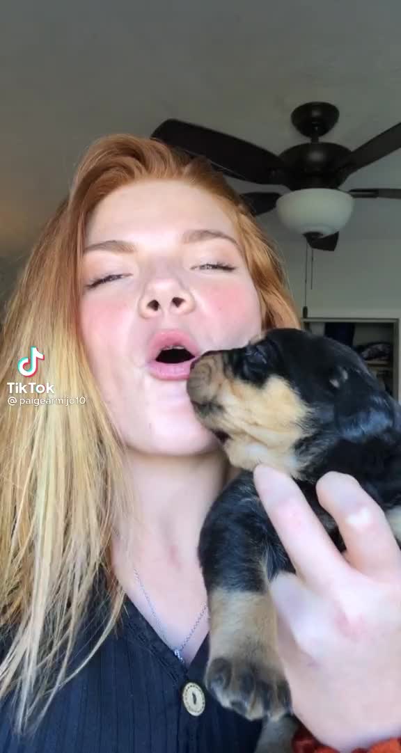 So cute puppy | Scrolller