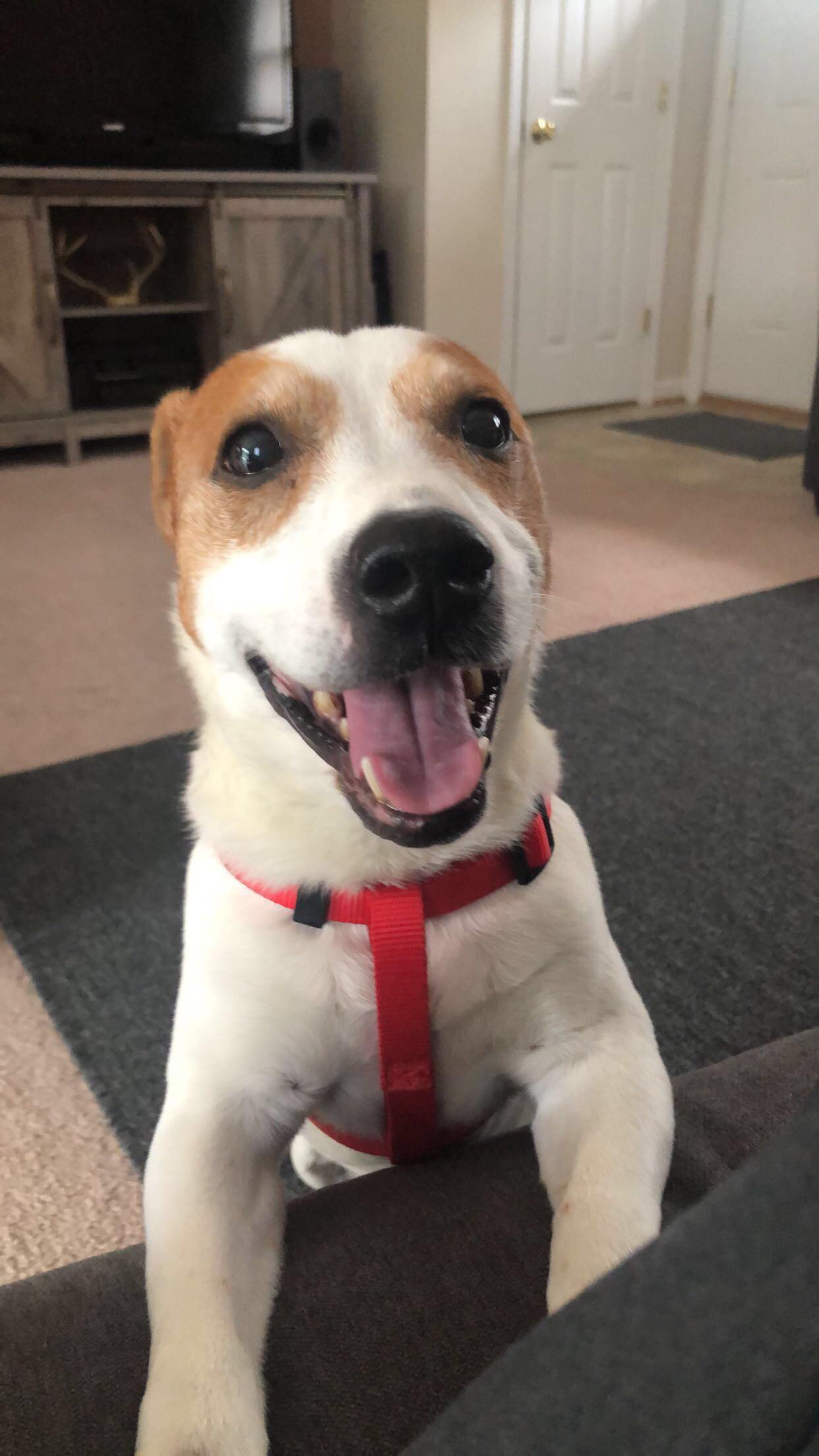 so handsome | Scrolller