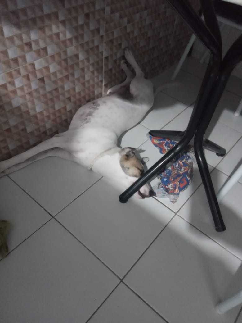 So... It looks like this is the perfect position to take a nap... | Scrolller