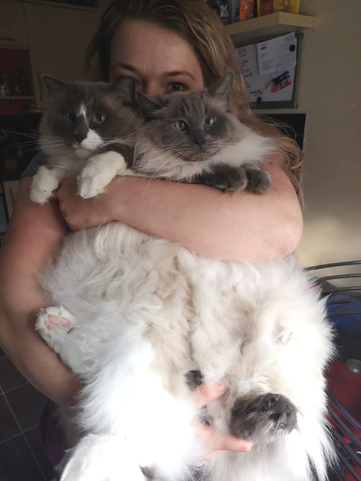 So much floof | Scrolller