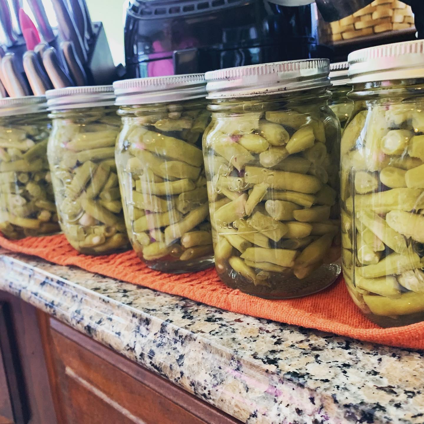 So proud of my green beans | Scrolller