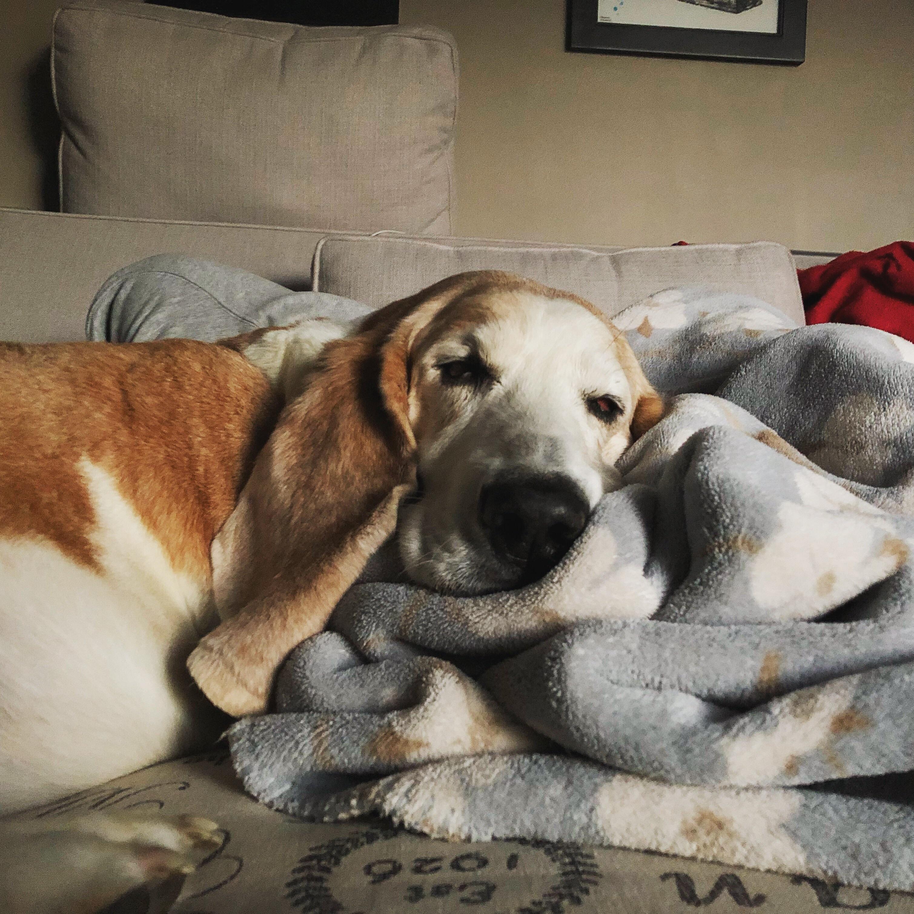 So sleepy | Scrolller