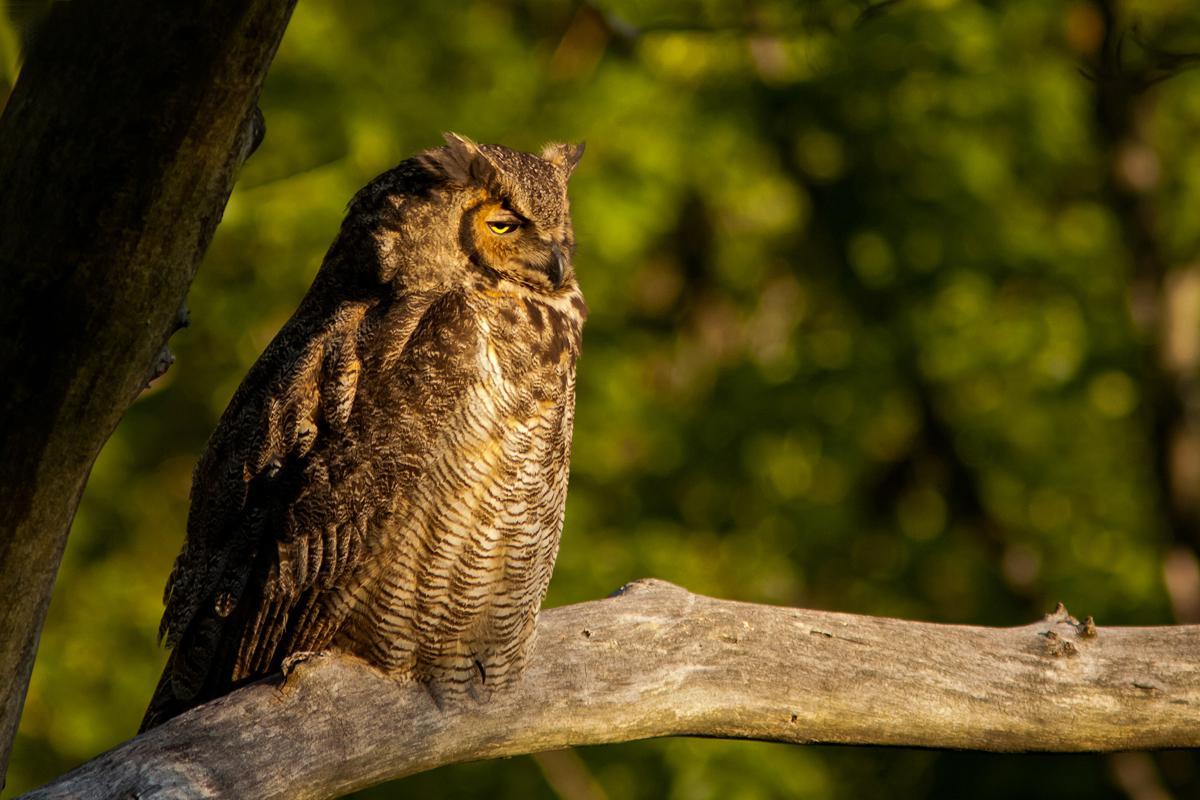 Soaking up the sun | Scrolller