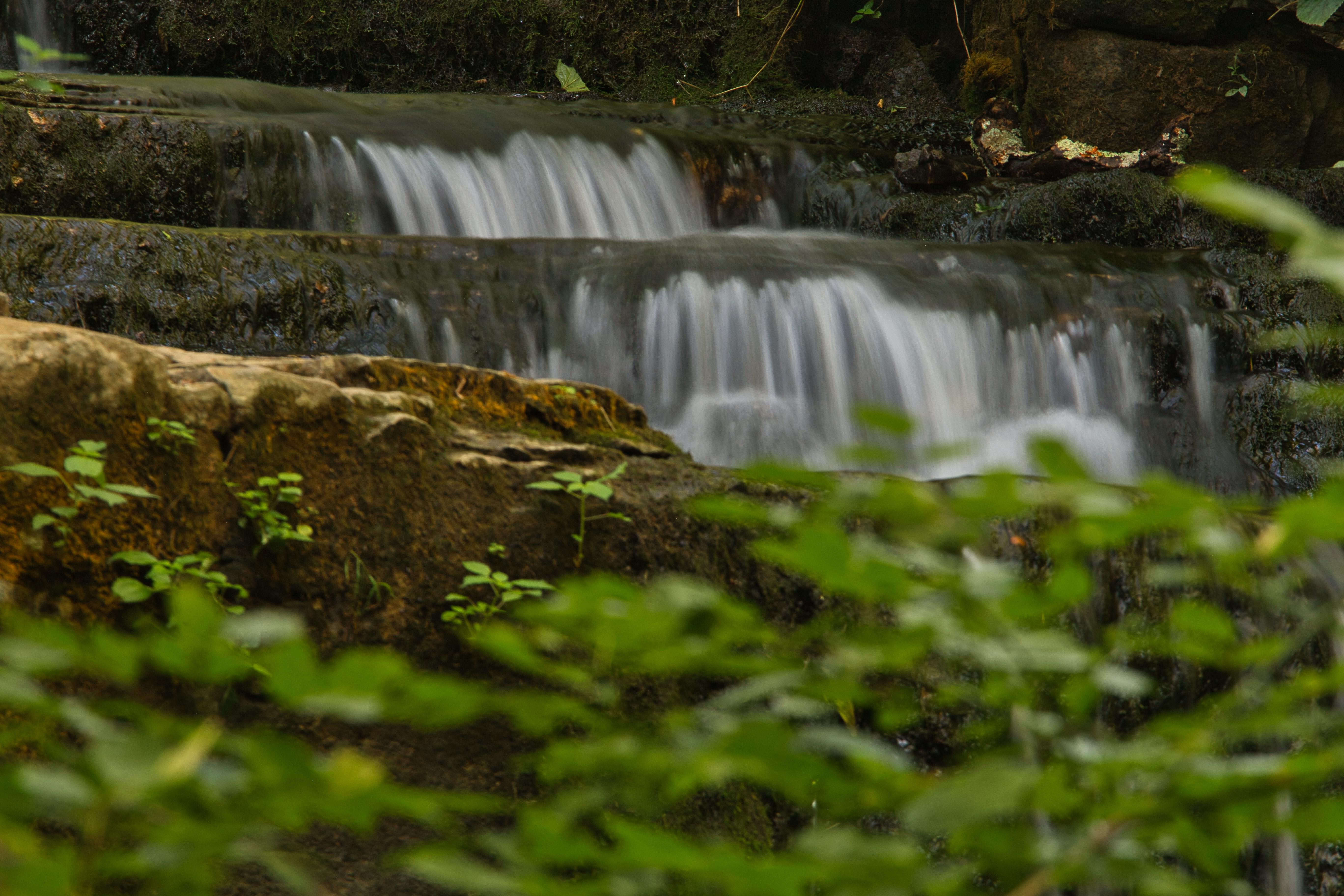 Social Isolation at Leonard Springs | Scrolller