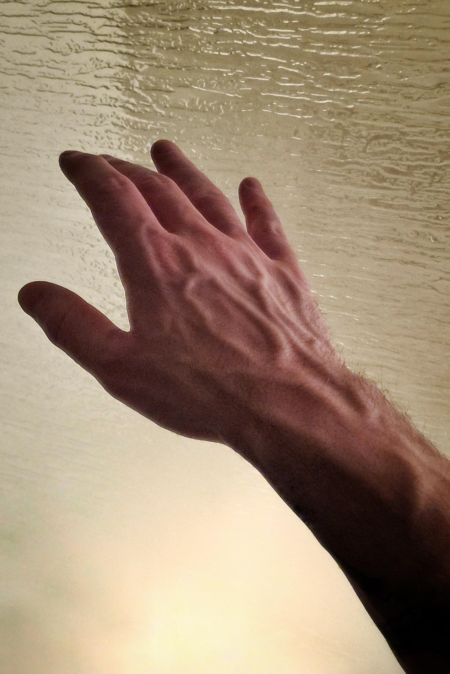 Soft light. | Scrolller