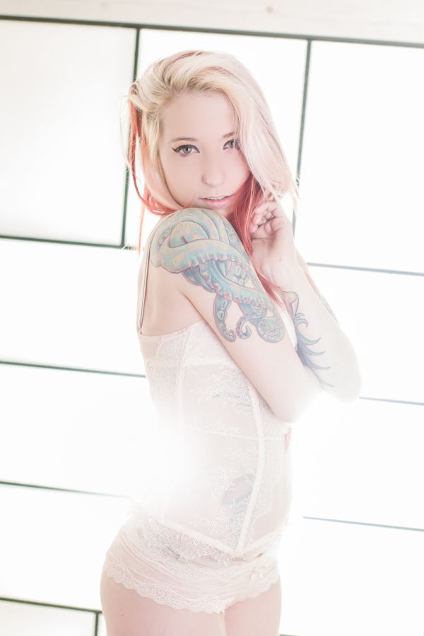 Soft Light | Scrolller