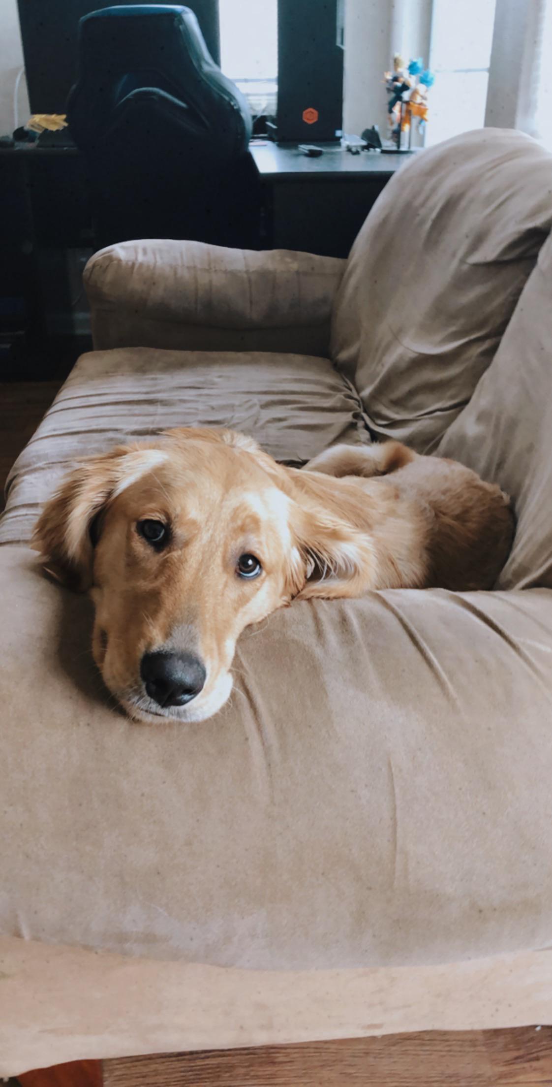 Soft smiles for the win 🐾 | Scrolller