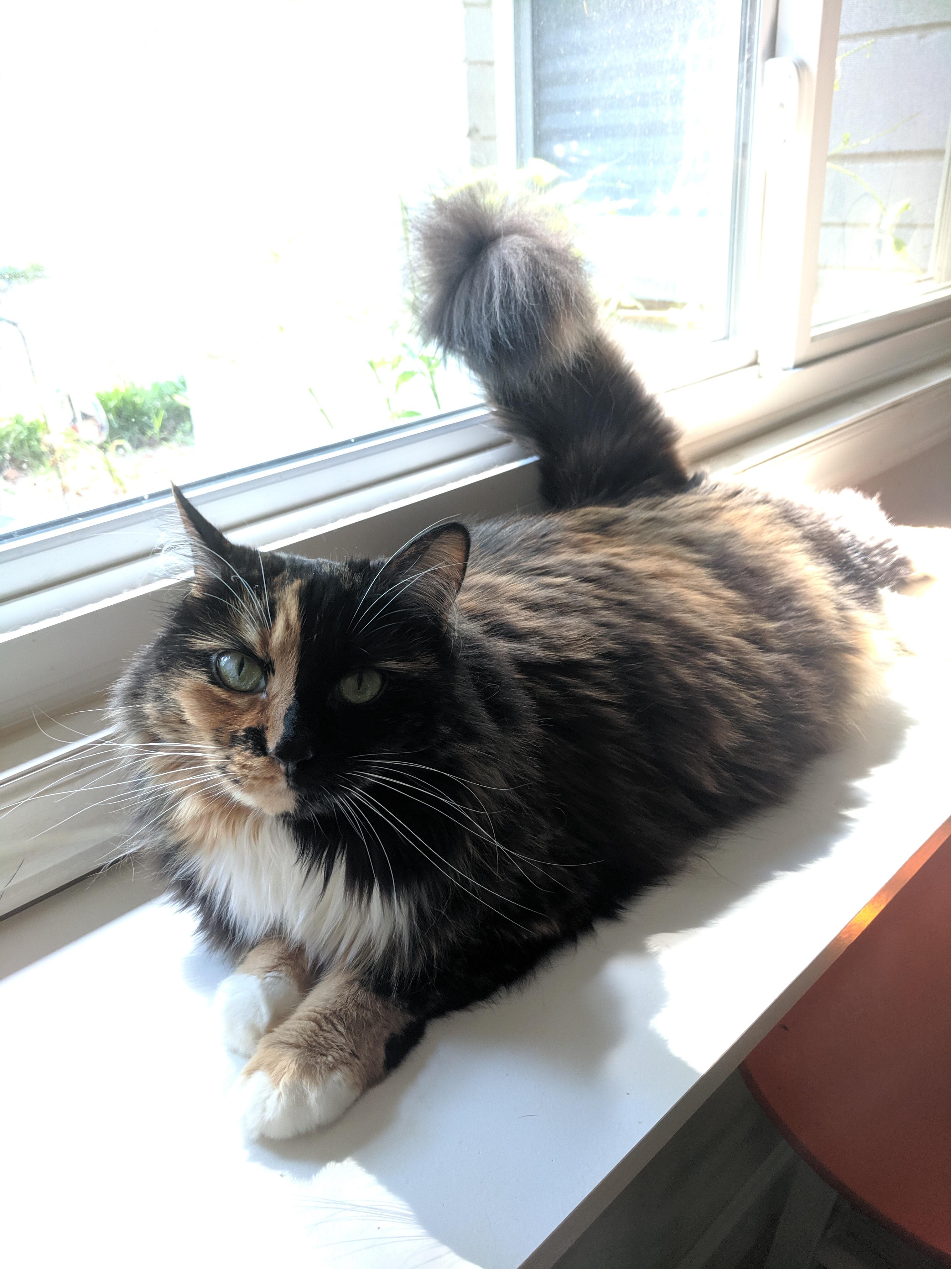 Solar powered | Scrolller