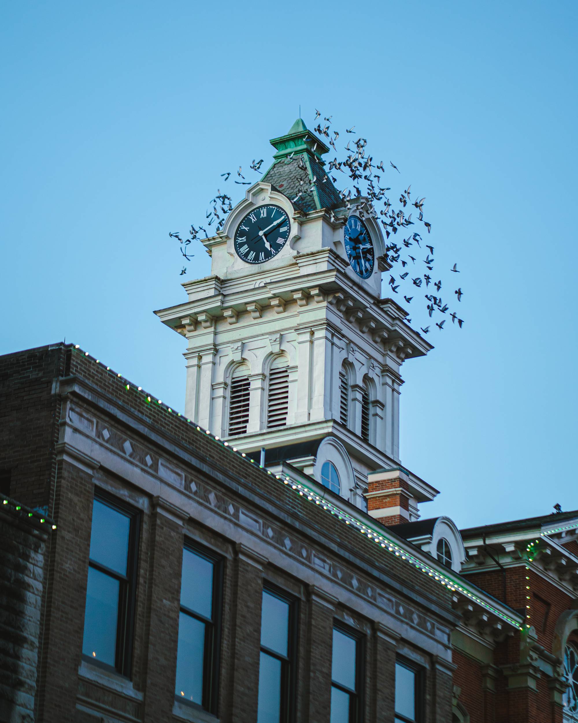 Some birds around a clock tower | Scrolller