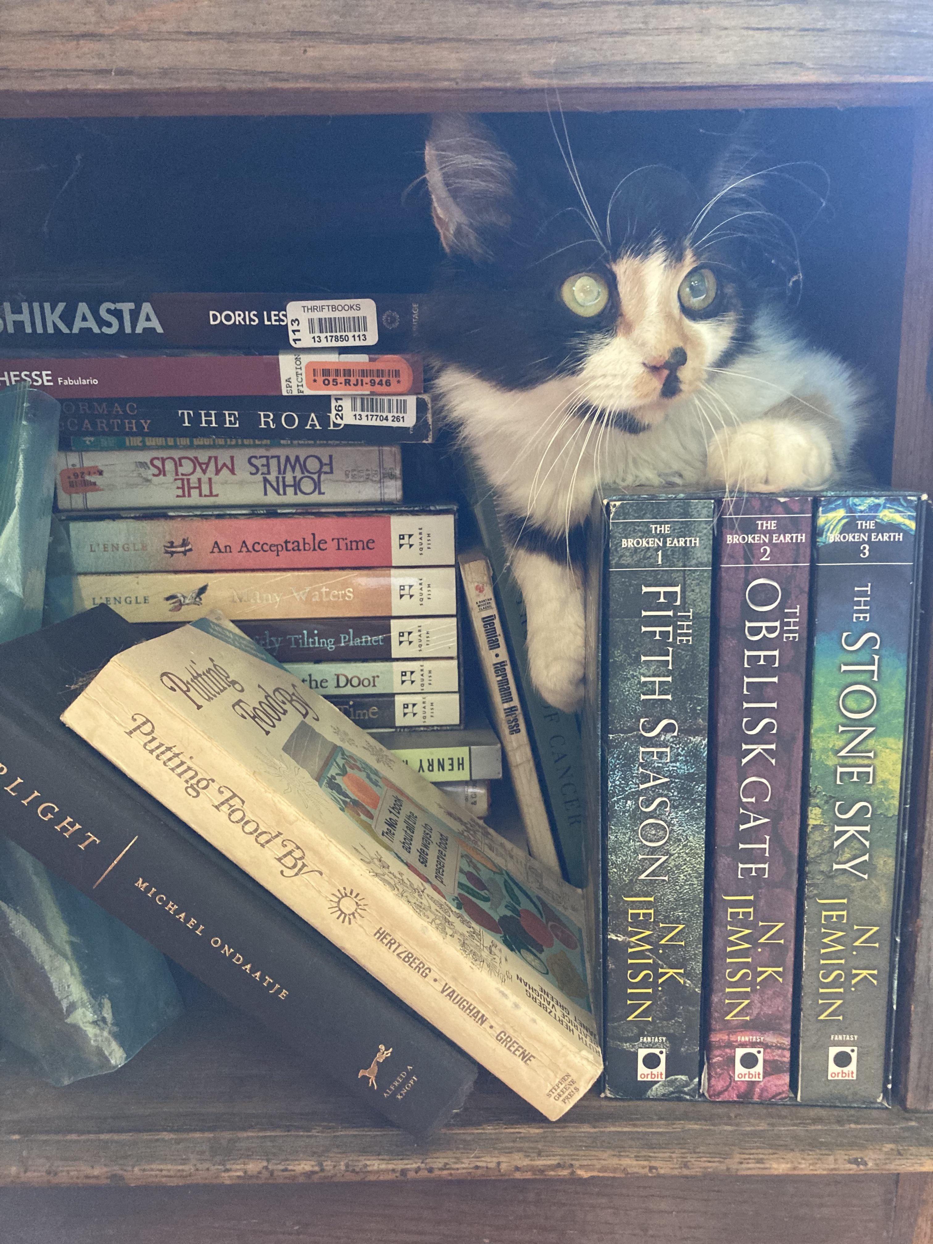 Someone interrupted her reading. | Scrolller