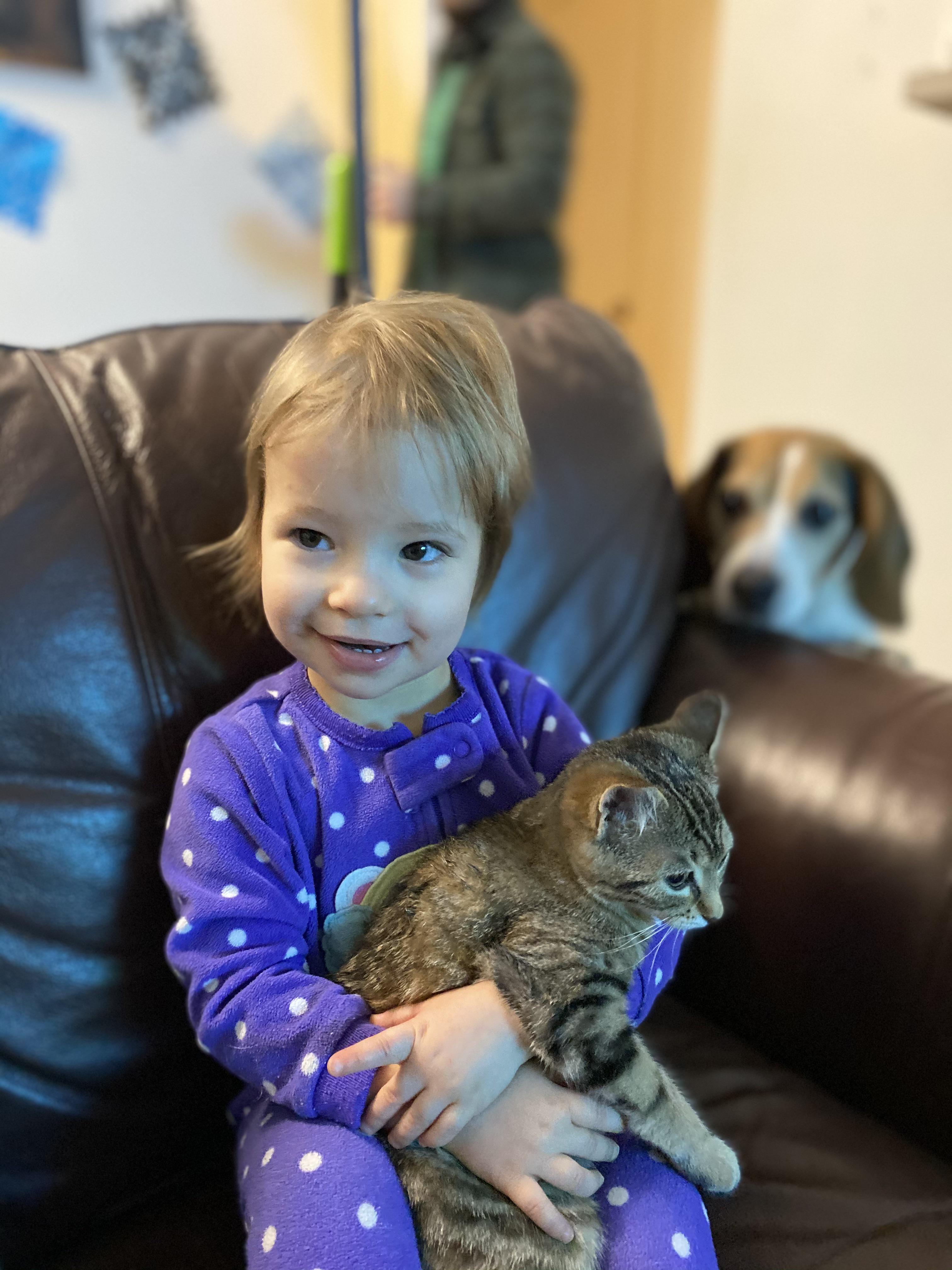 Someone is jealous the kitten is getting all the love | Scrolller