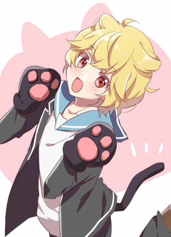 Someone play patty cake with his paws~ | Scrolller