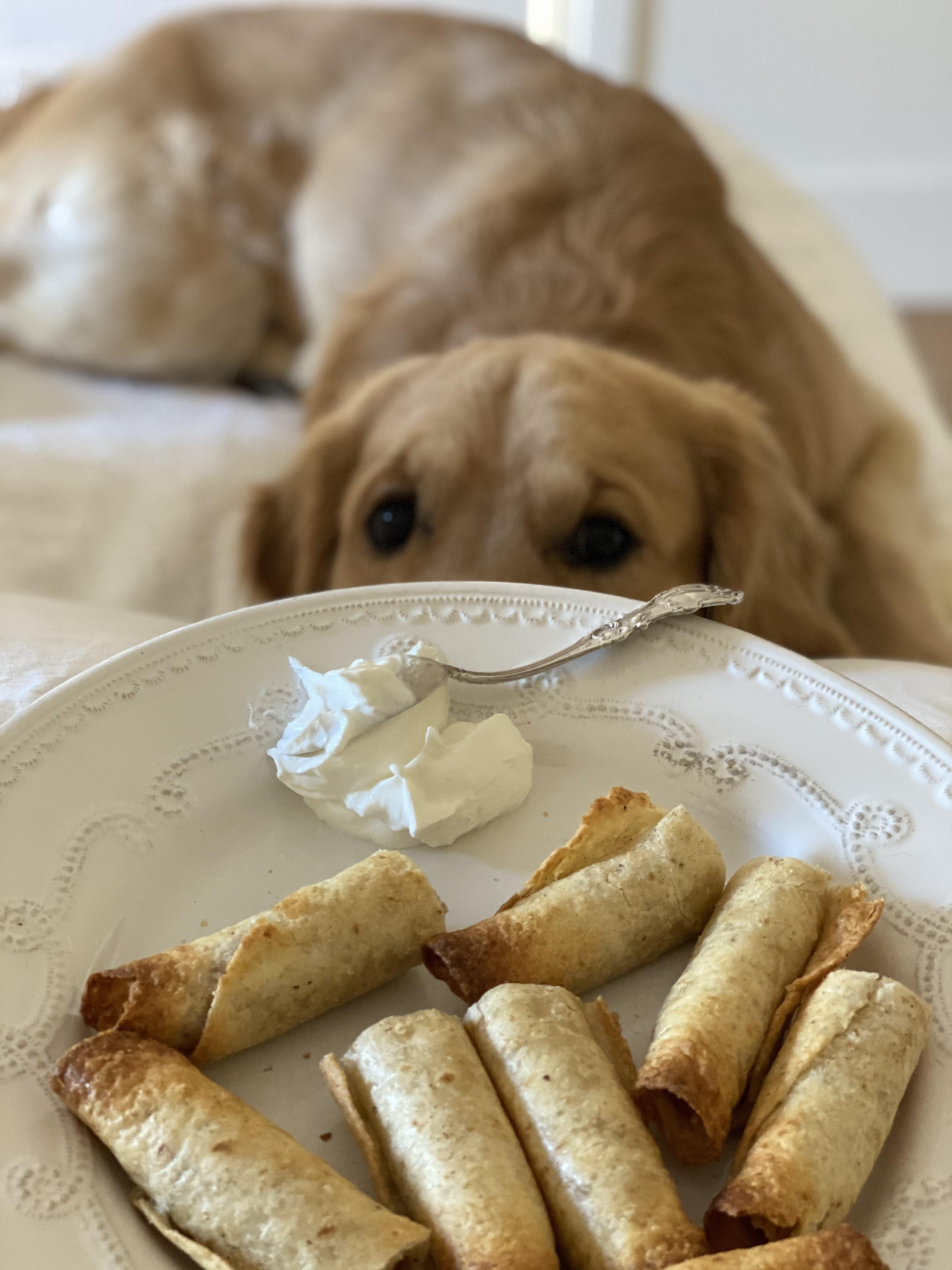 Someone wants some of my lunch... | Scrolller