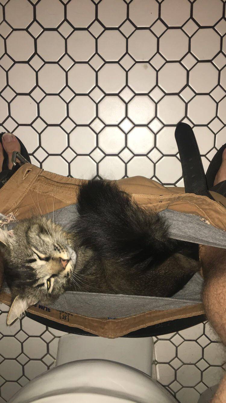 Somersault Over the Waistband | Scrolller