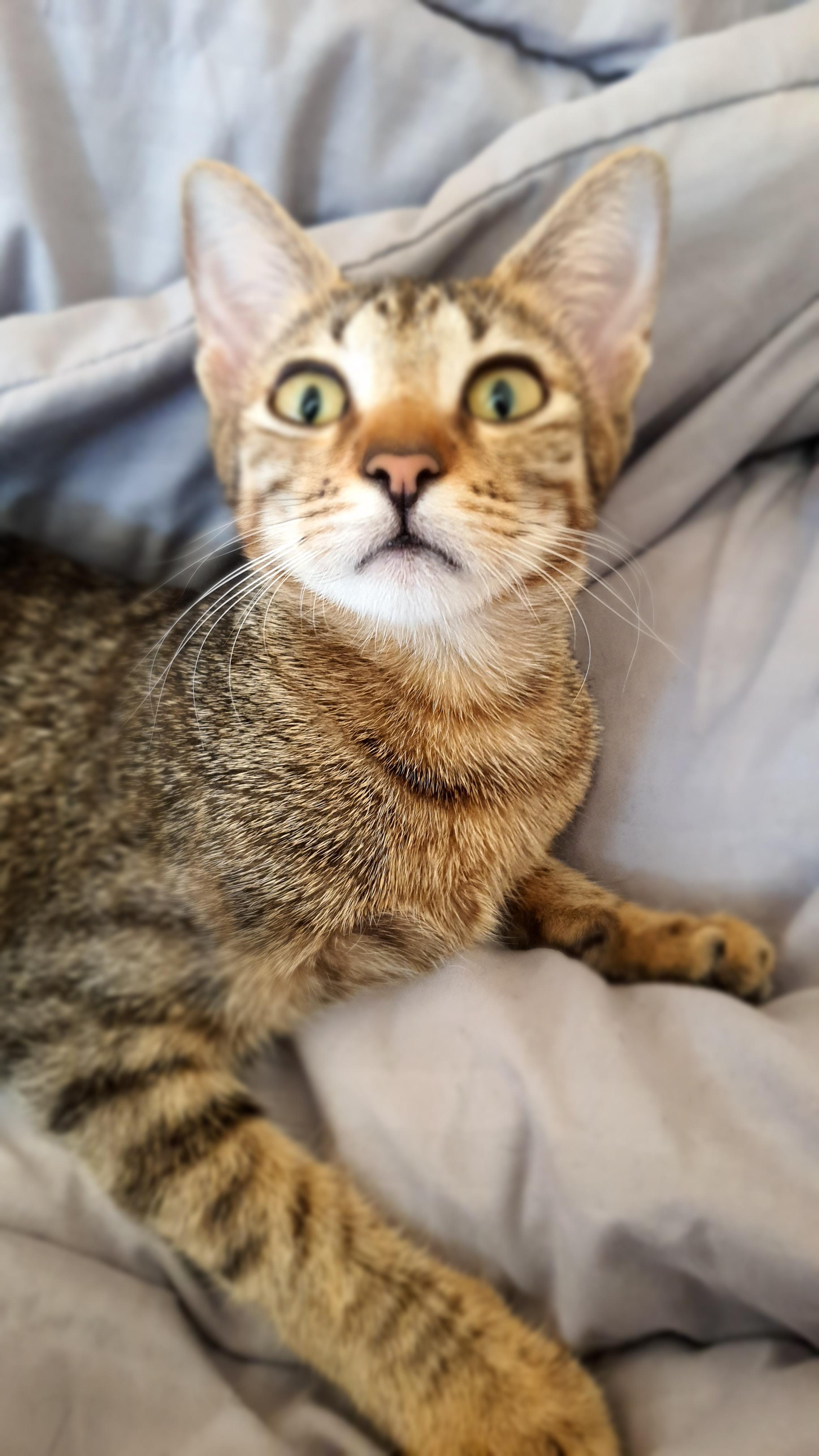 Something on the wall | Scrolller