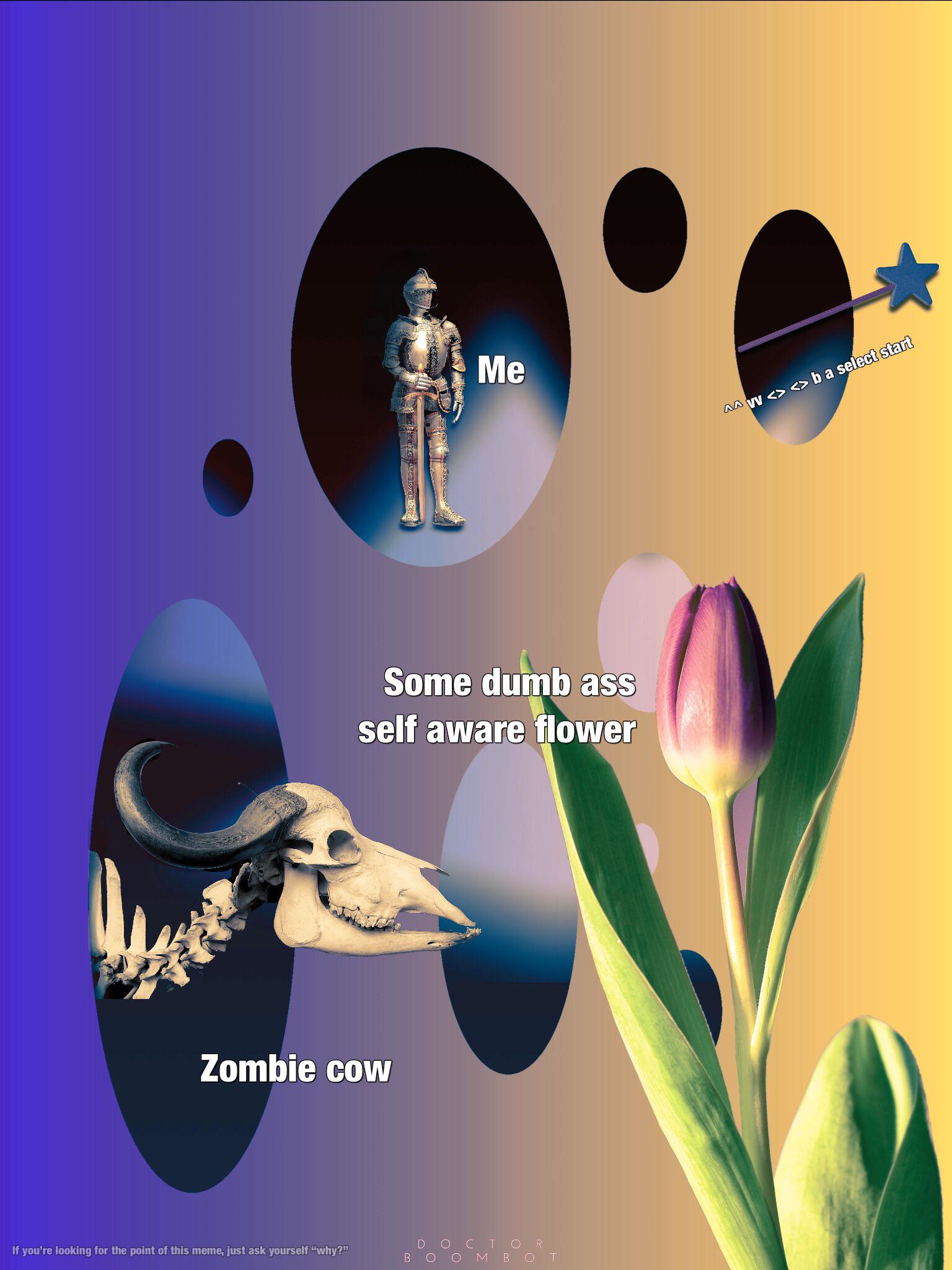 Something something holes are fun | Scrolller