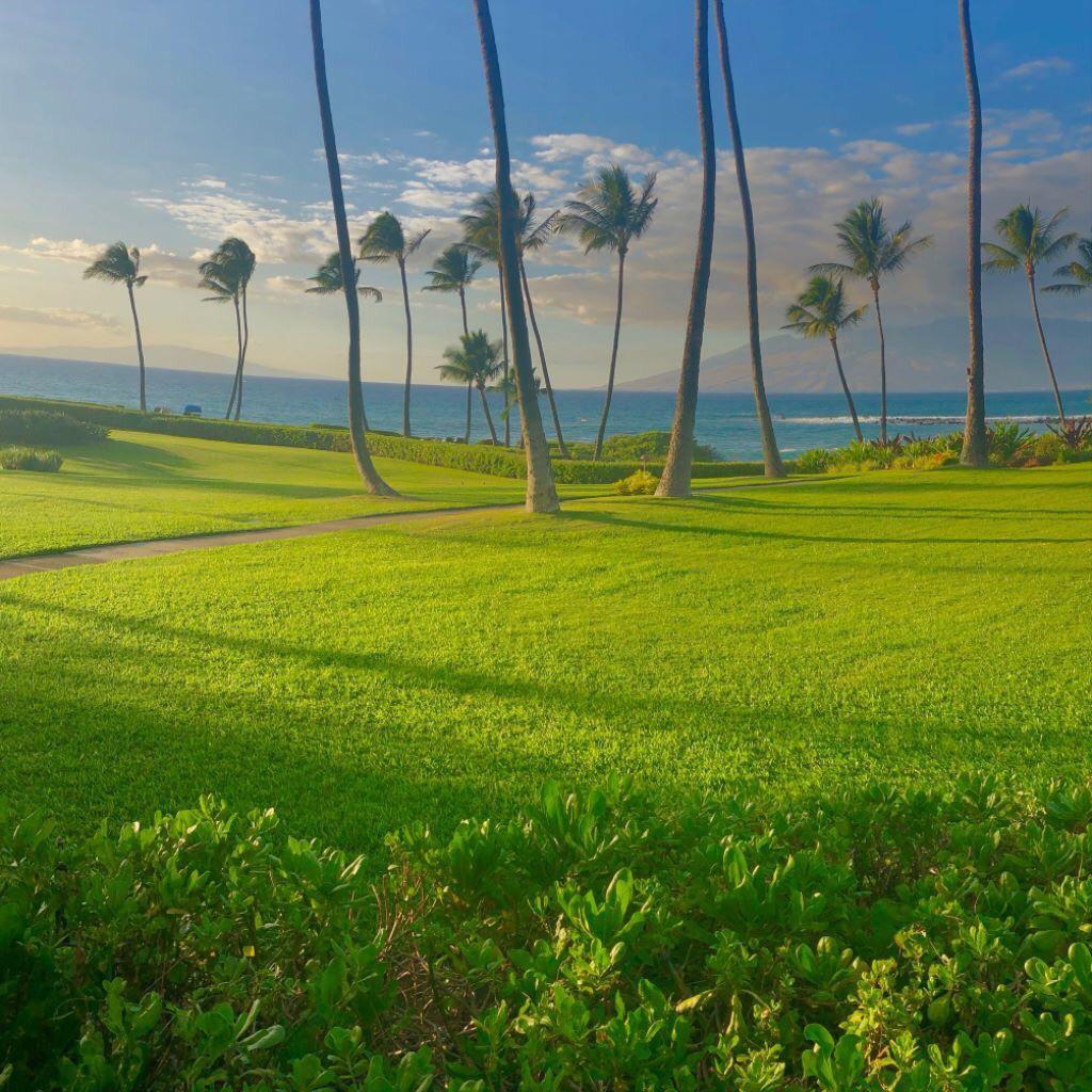 Sometimes the beauty of Maui overtakes me !! | Scrolller