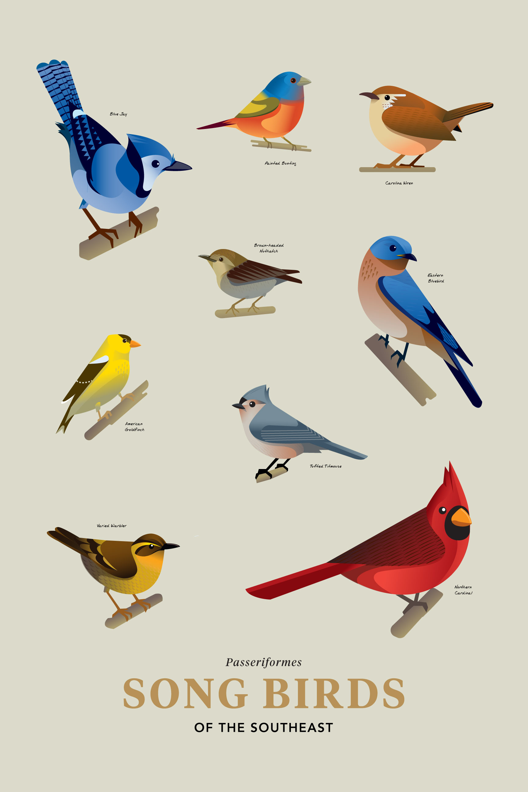 Songbirds of the Southeast, "Birds of" Series. Stylized Illustration (OC) | Scrolller