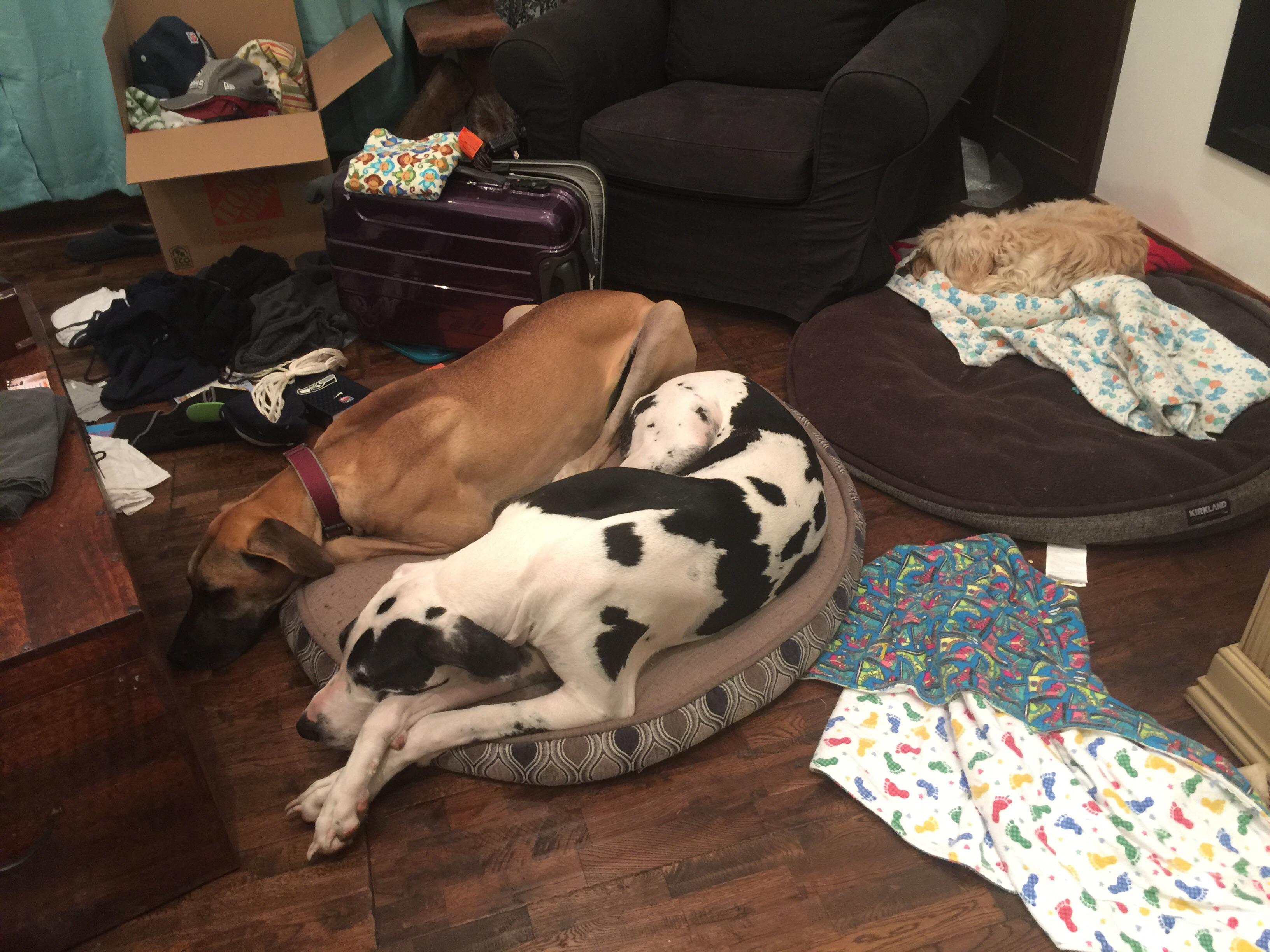 Space efficiency | Scrolller