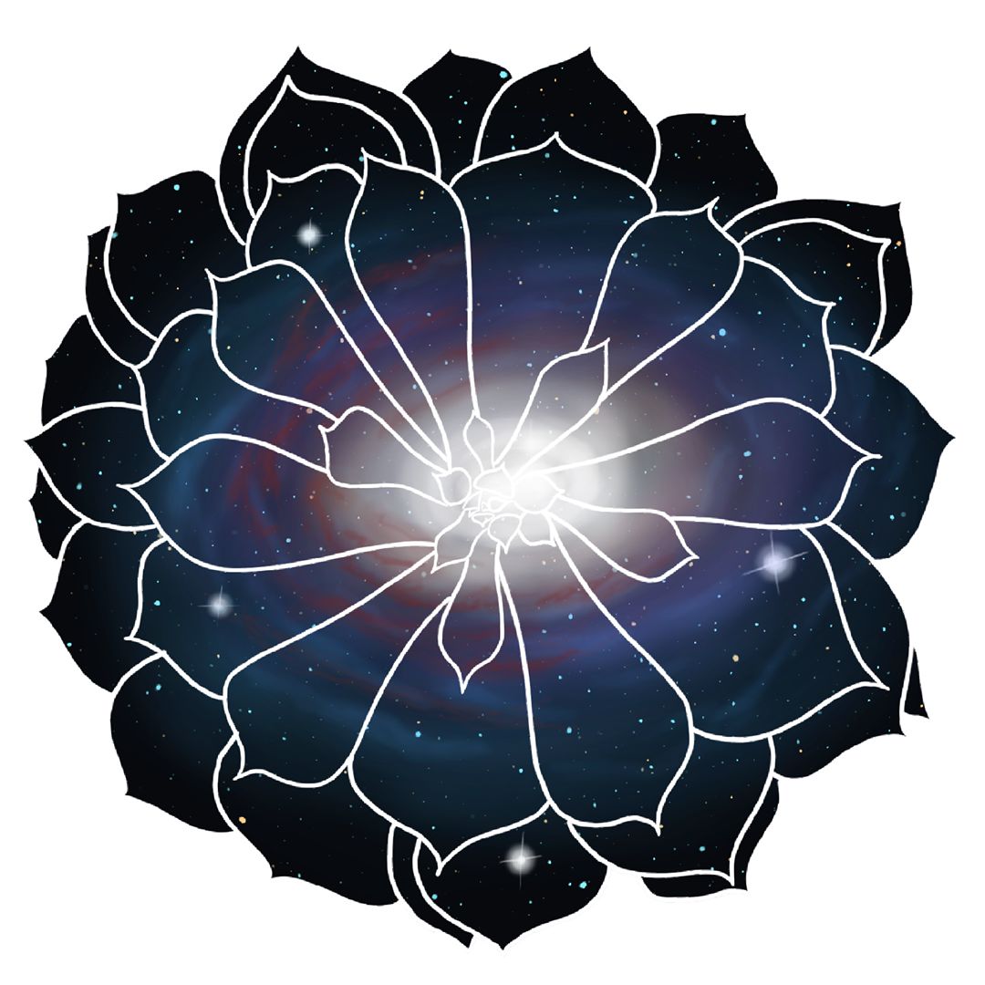 Space Succulent by Me | Scrolller