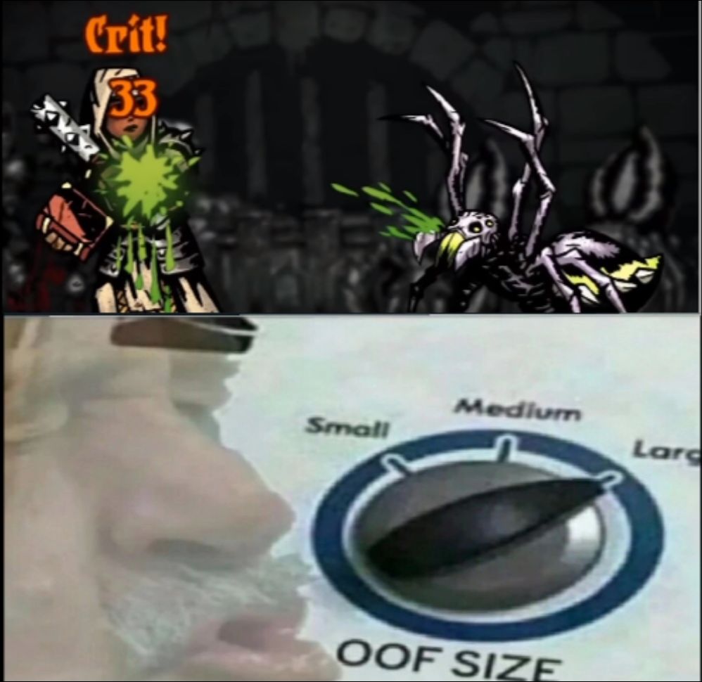 spiders in a nutshell | Scrolller