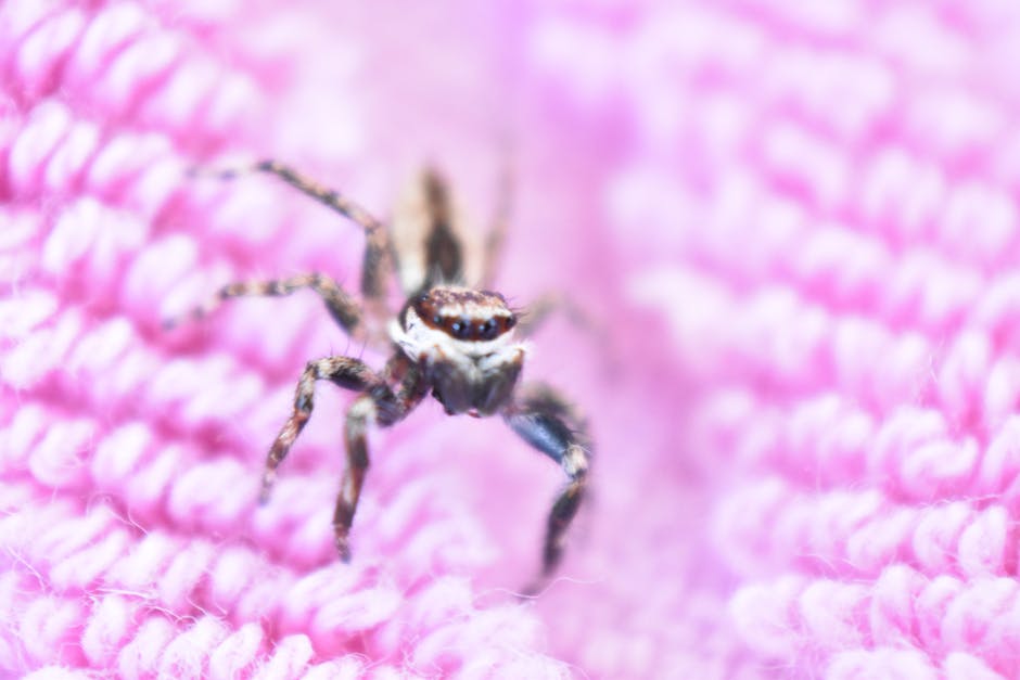 Spidey Scrolller