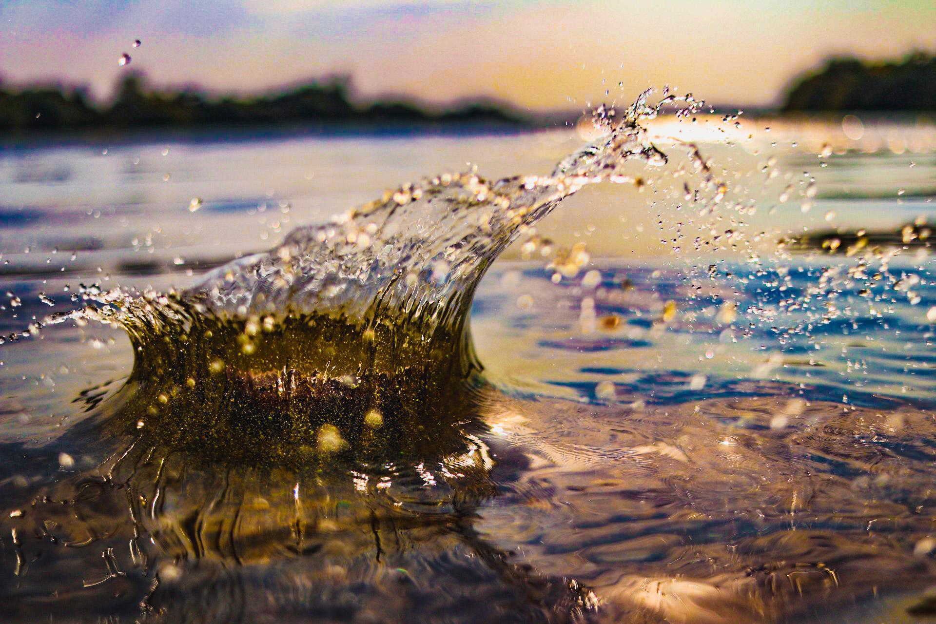 Splash. Taken on a Canon 80D with a 24mm lens | Scrolller