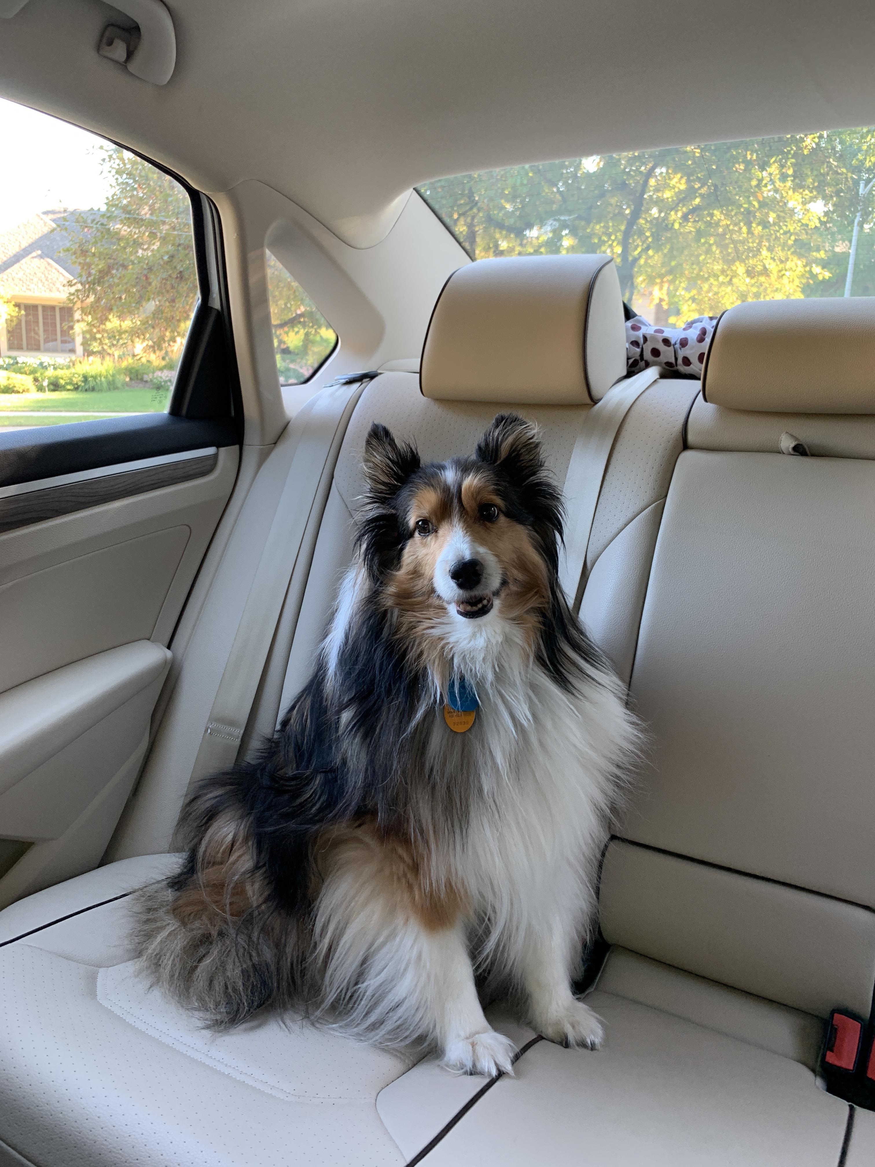 Spoiled boy spent the night at Grandma and Grandpa’s | Scrolller