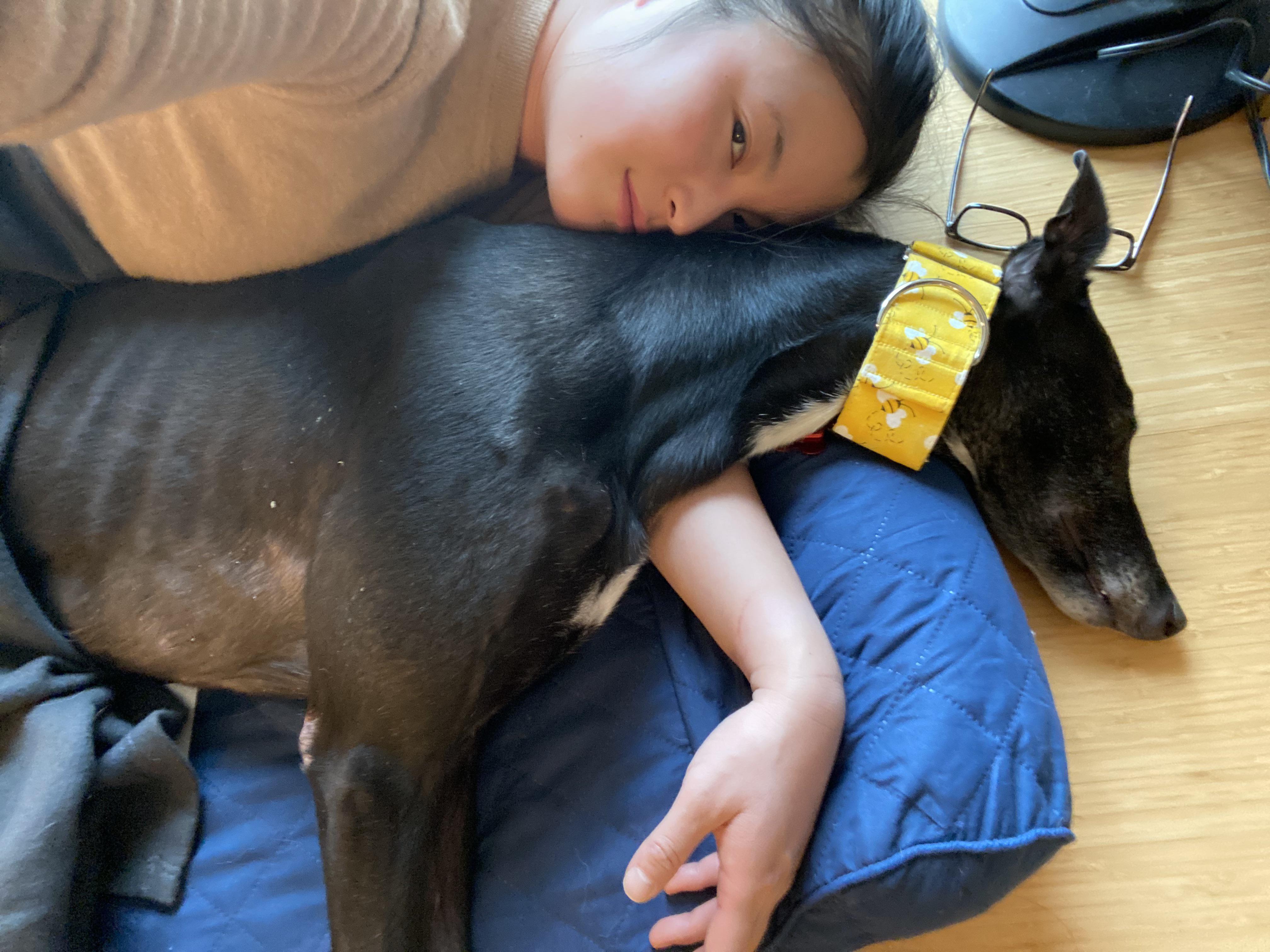 Spooning with a grey is the best therapy I’ve ever had. | Scrolller