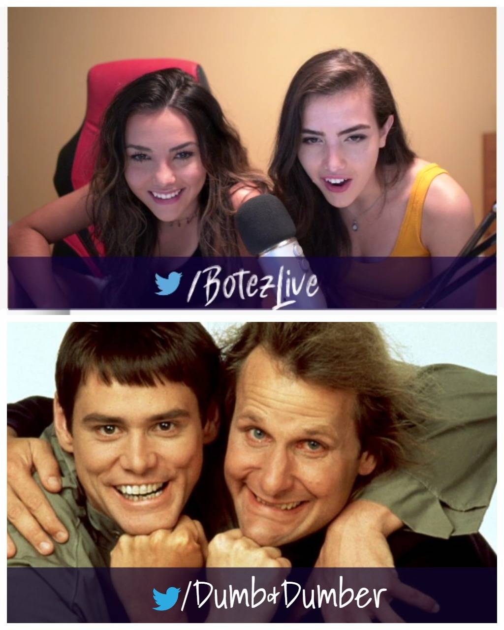 Spot the Difference | Scrolller