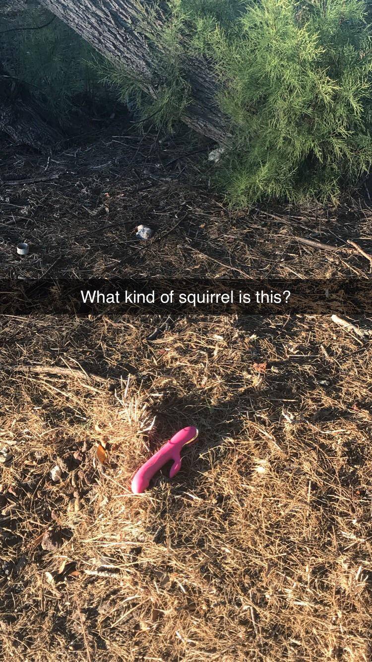 Spotted along the side of the road | Scrolller