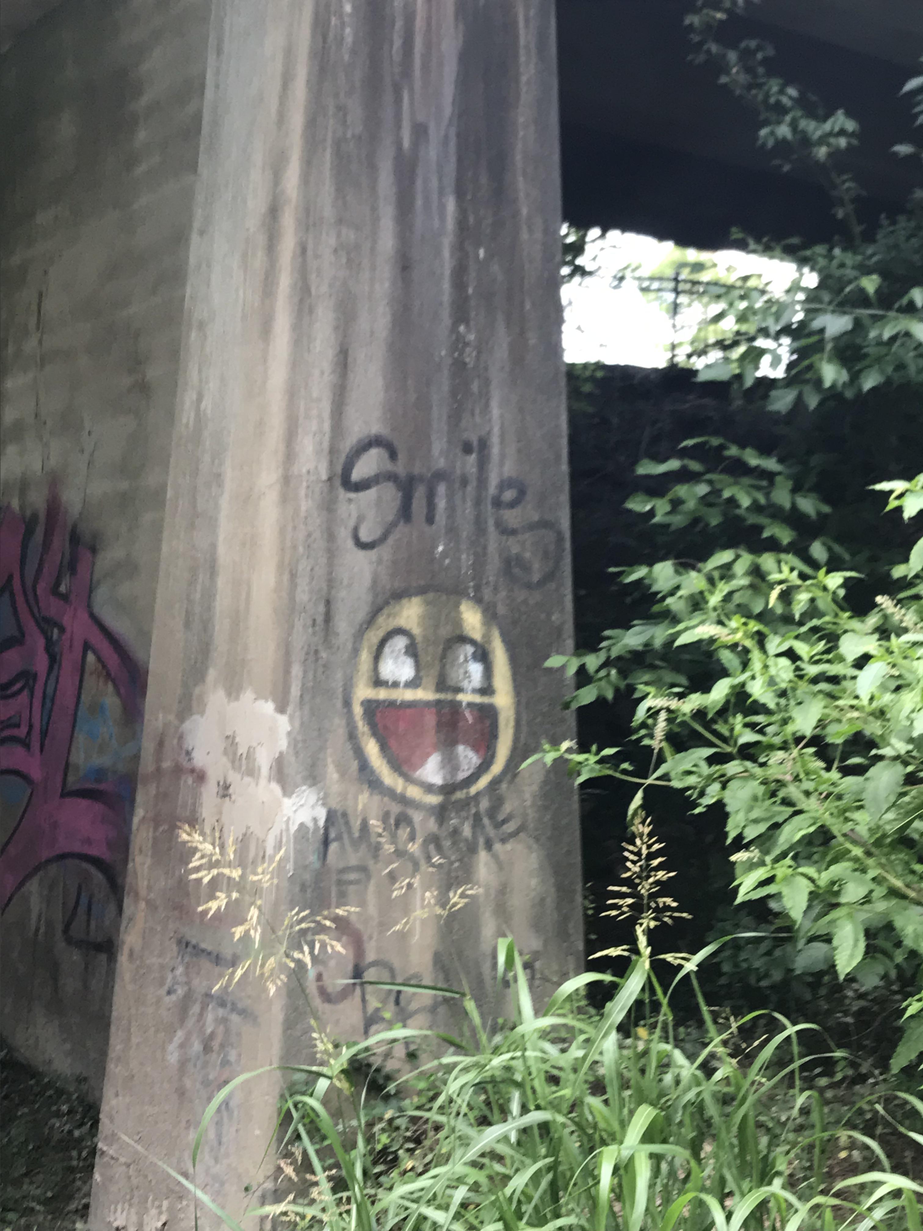 Spotted in North Carolina. | Scrolller