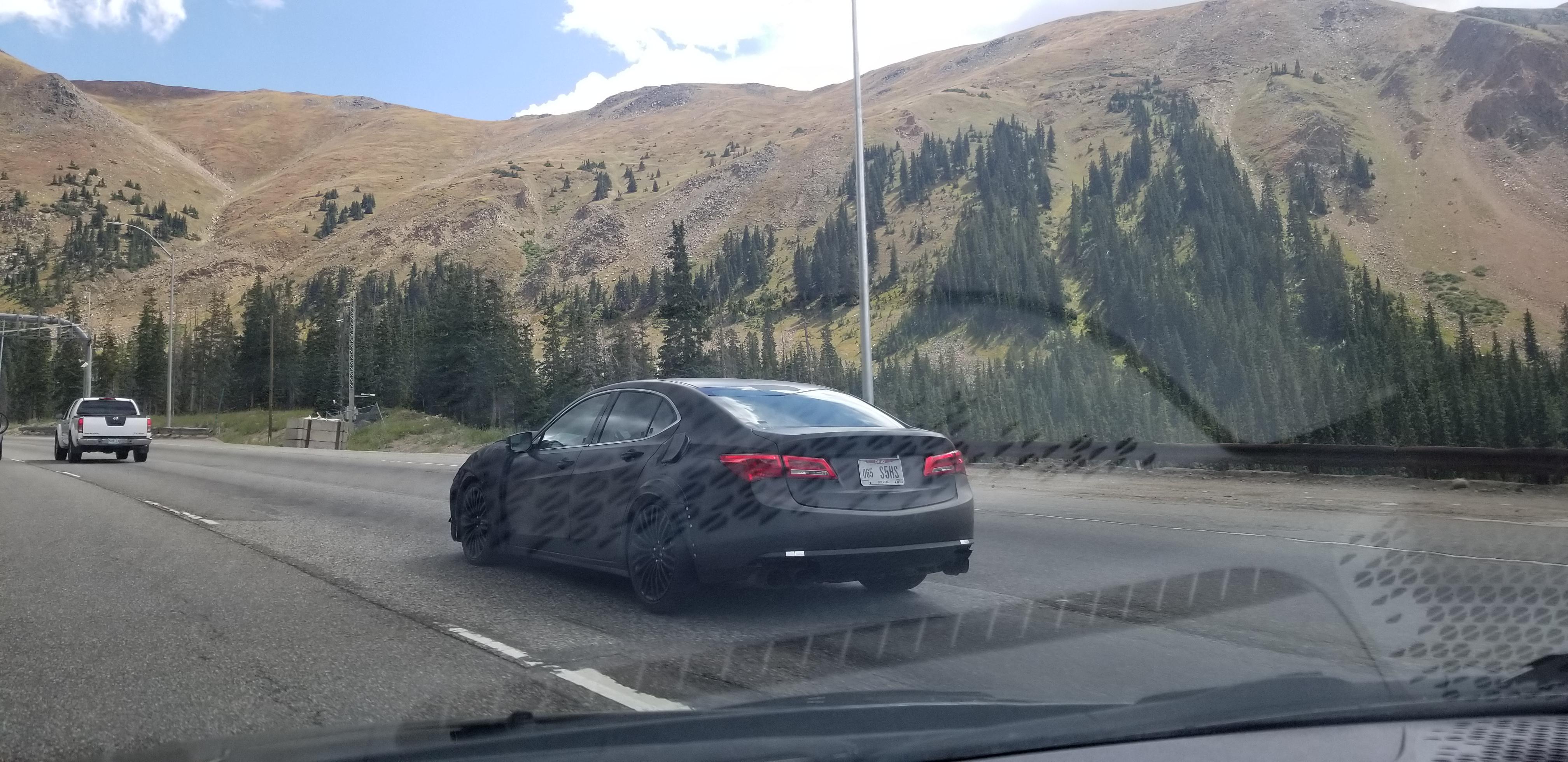 Spotted in the Rockies! | Scrolller