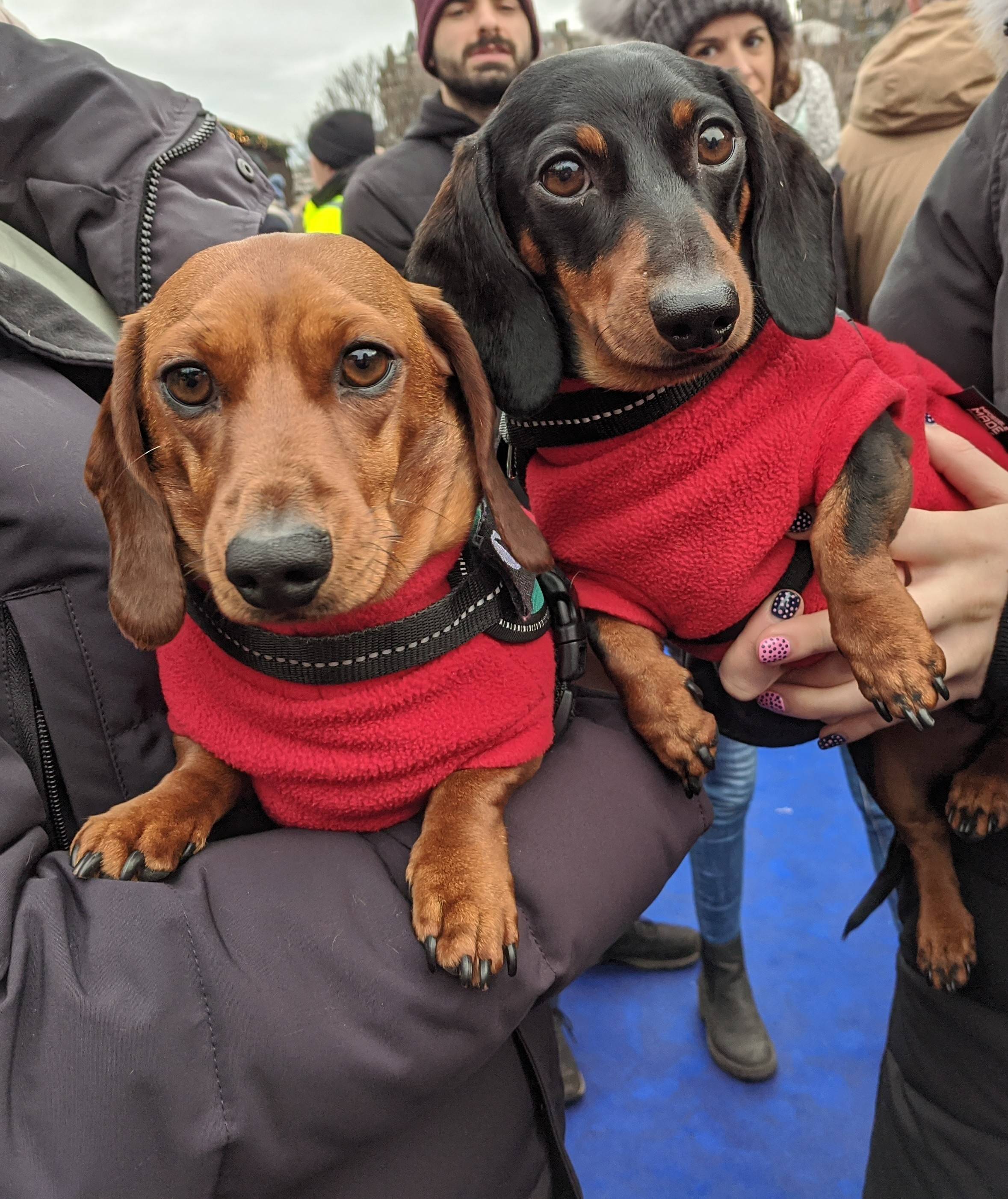 Spotted these beauties in Edinburgh | Scrolller
