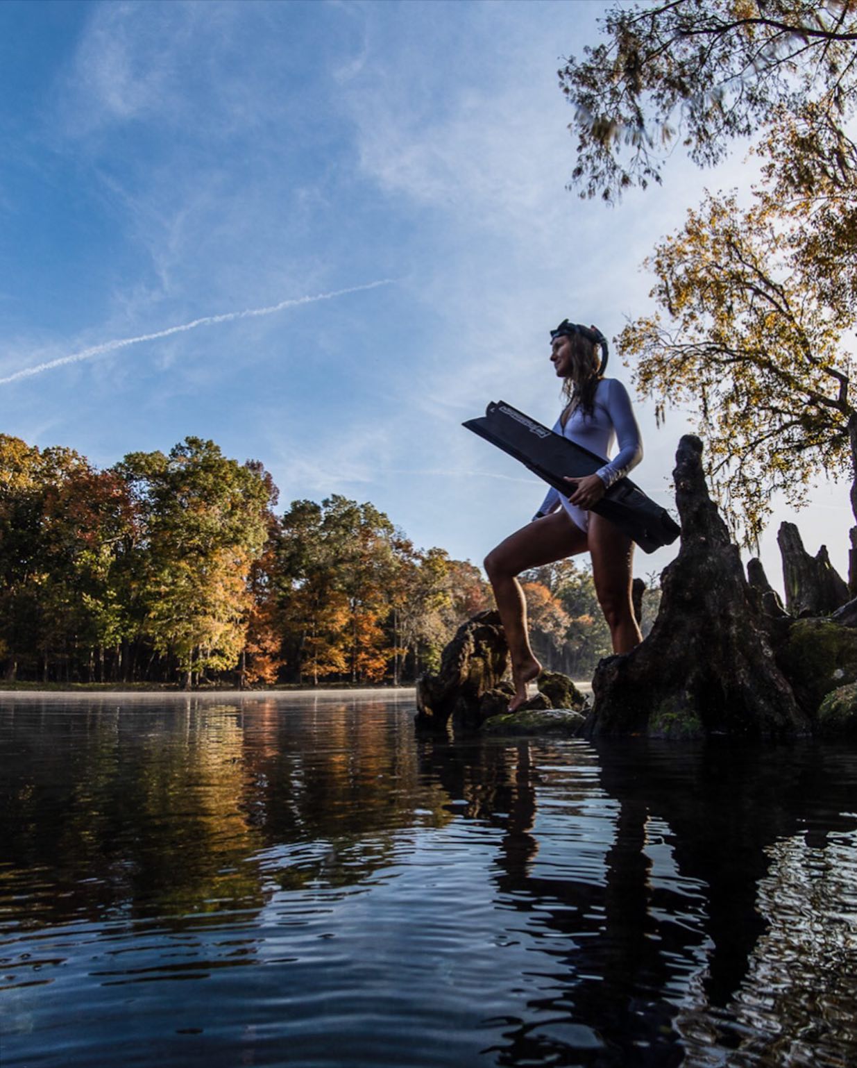 Spring Dive in Fall | Scrolller